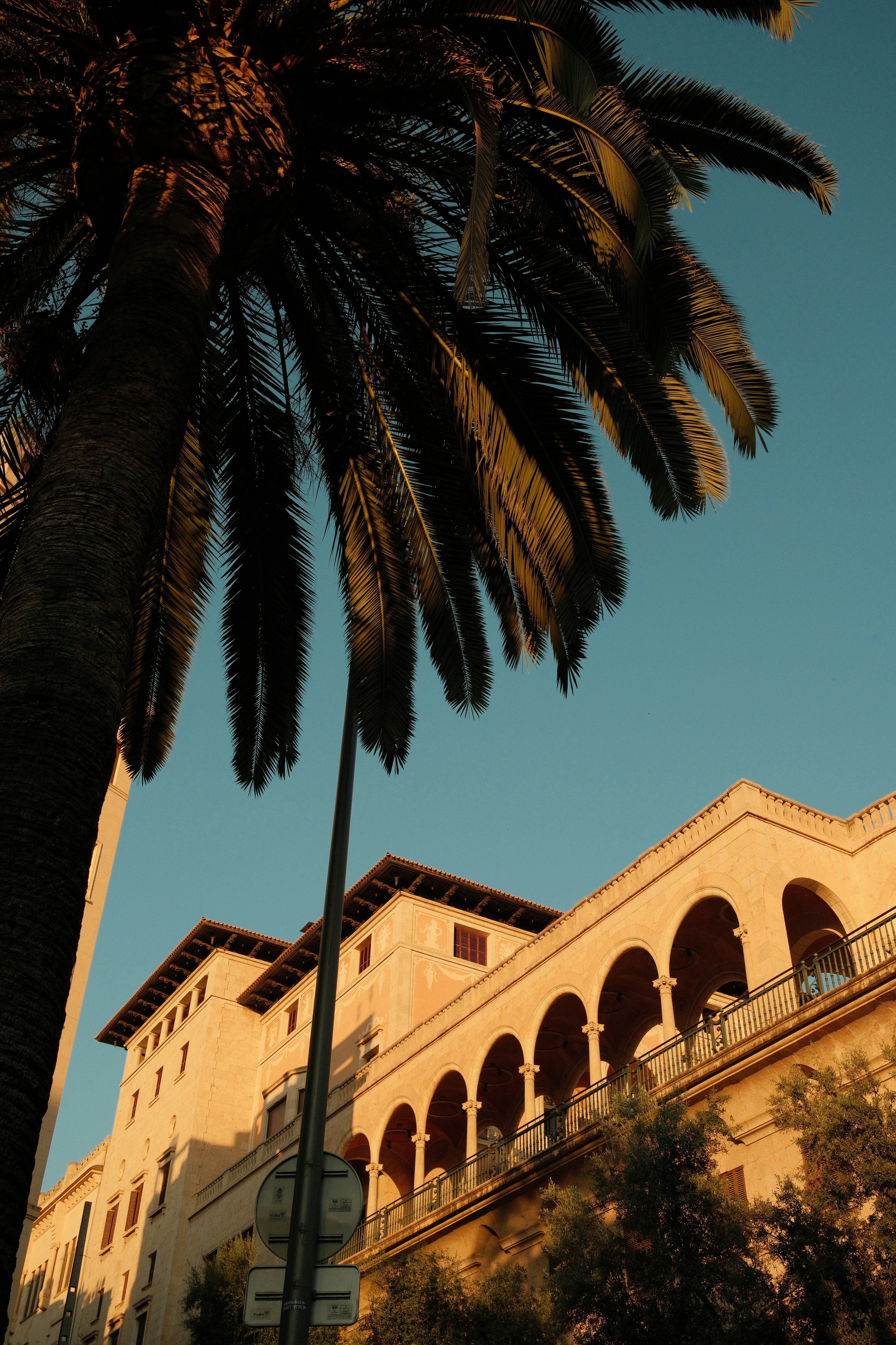 Golden Hour Facade Underarching Palm