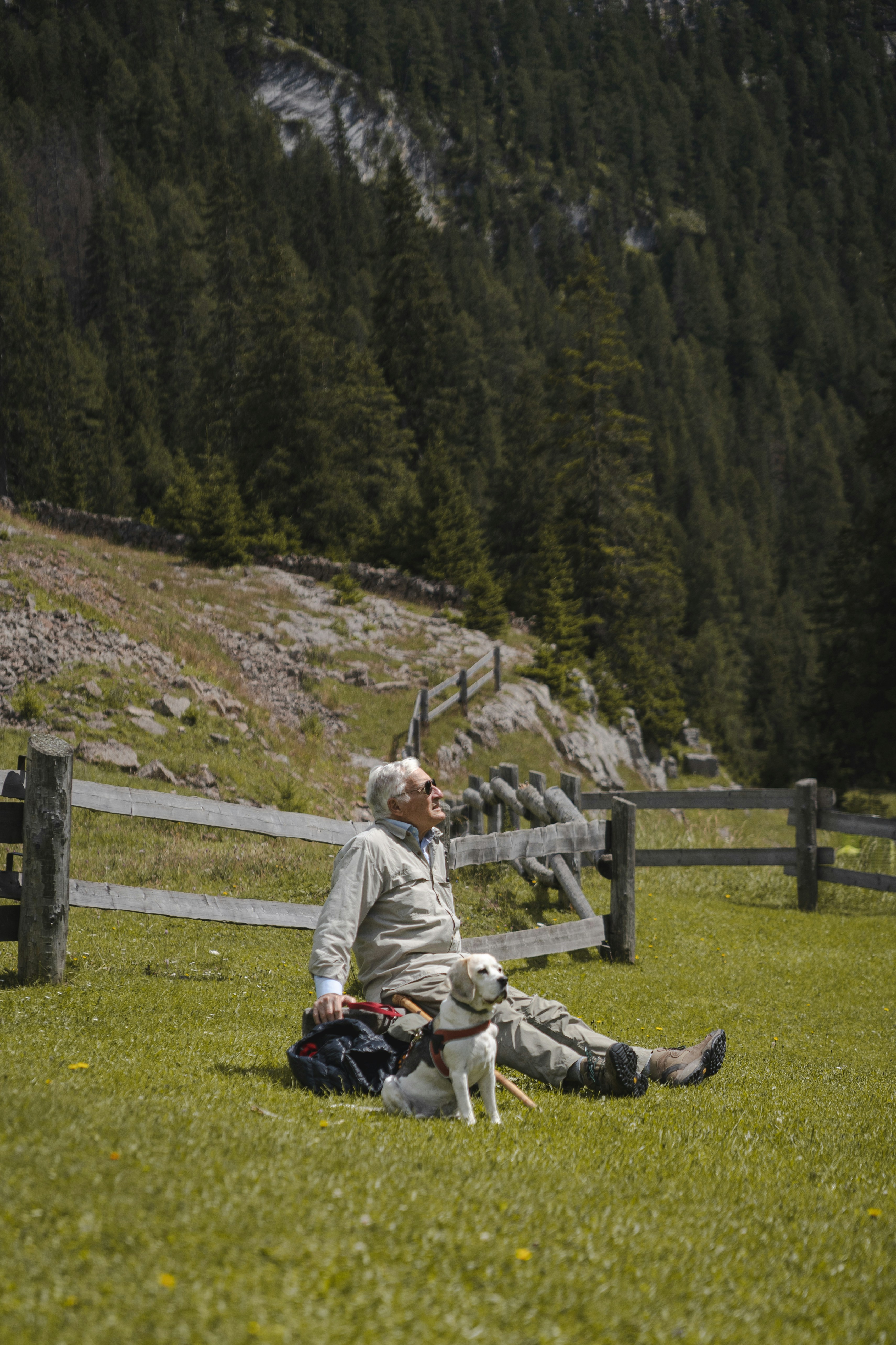 Quiet hillside休: Elderly man and dog resting beside a rustic fence