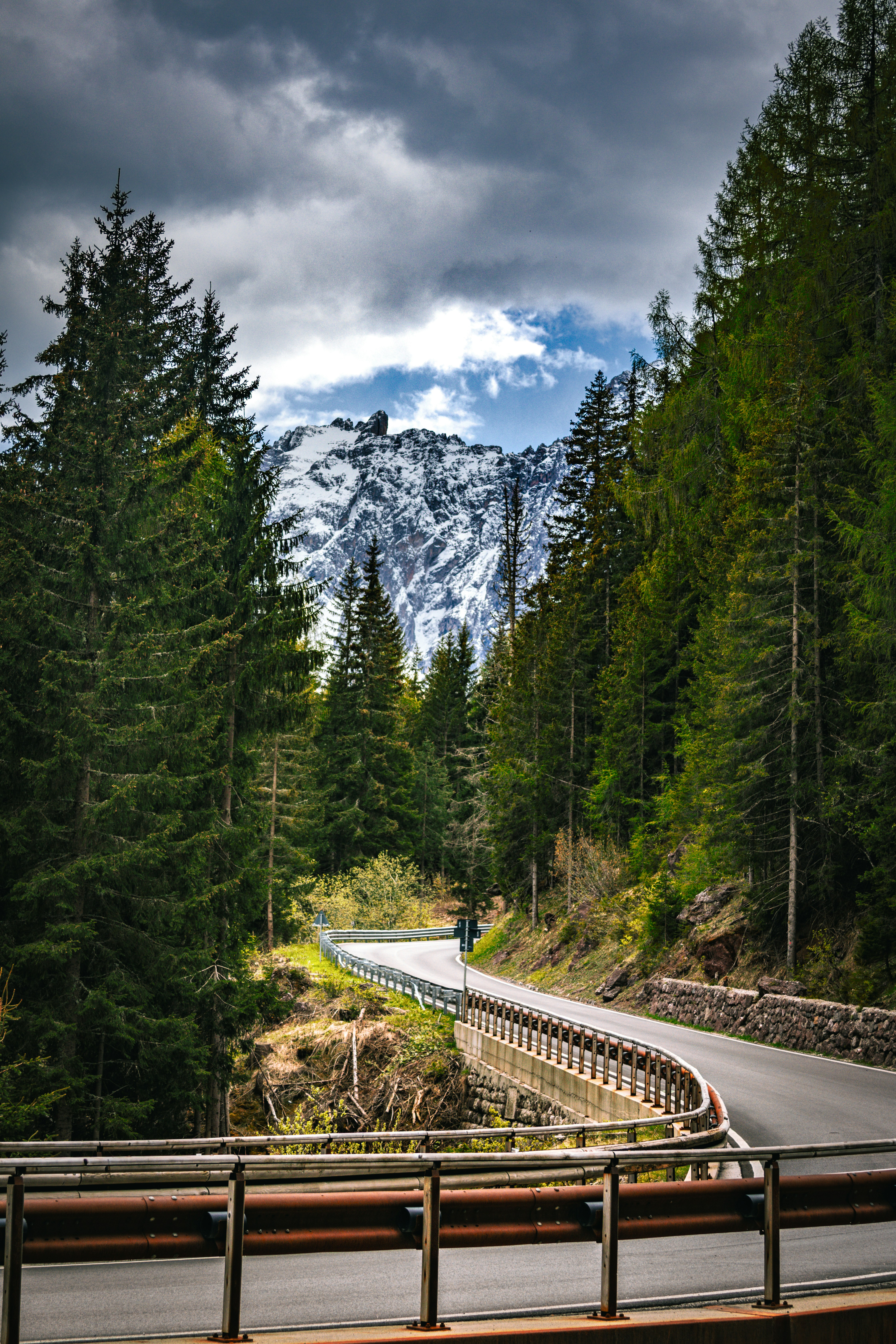 Winding Alpine Road Between Towering Pines