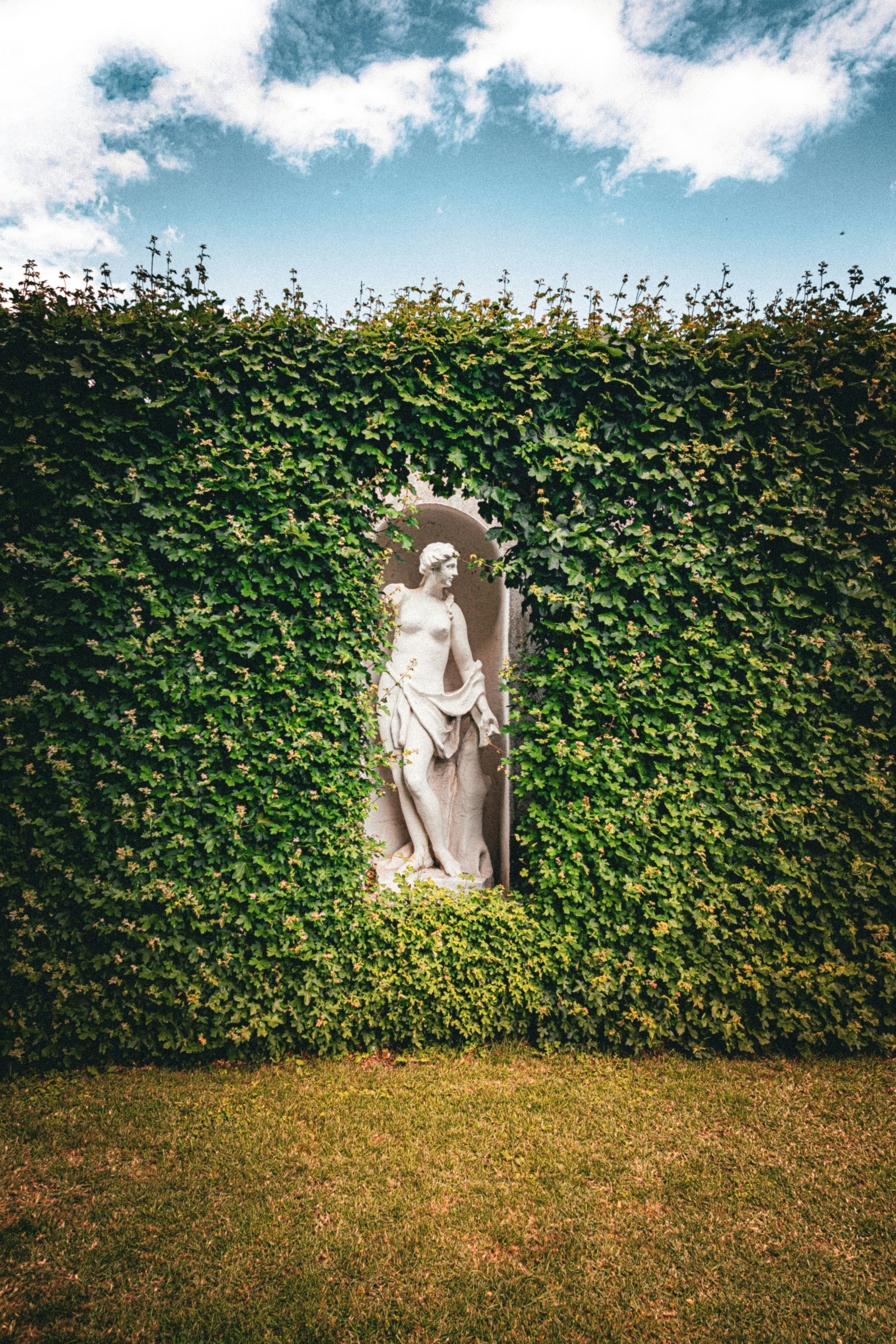 Statue in a Green Hall: Classical Carved Figure Reclaimed by Ivy Archway