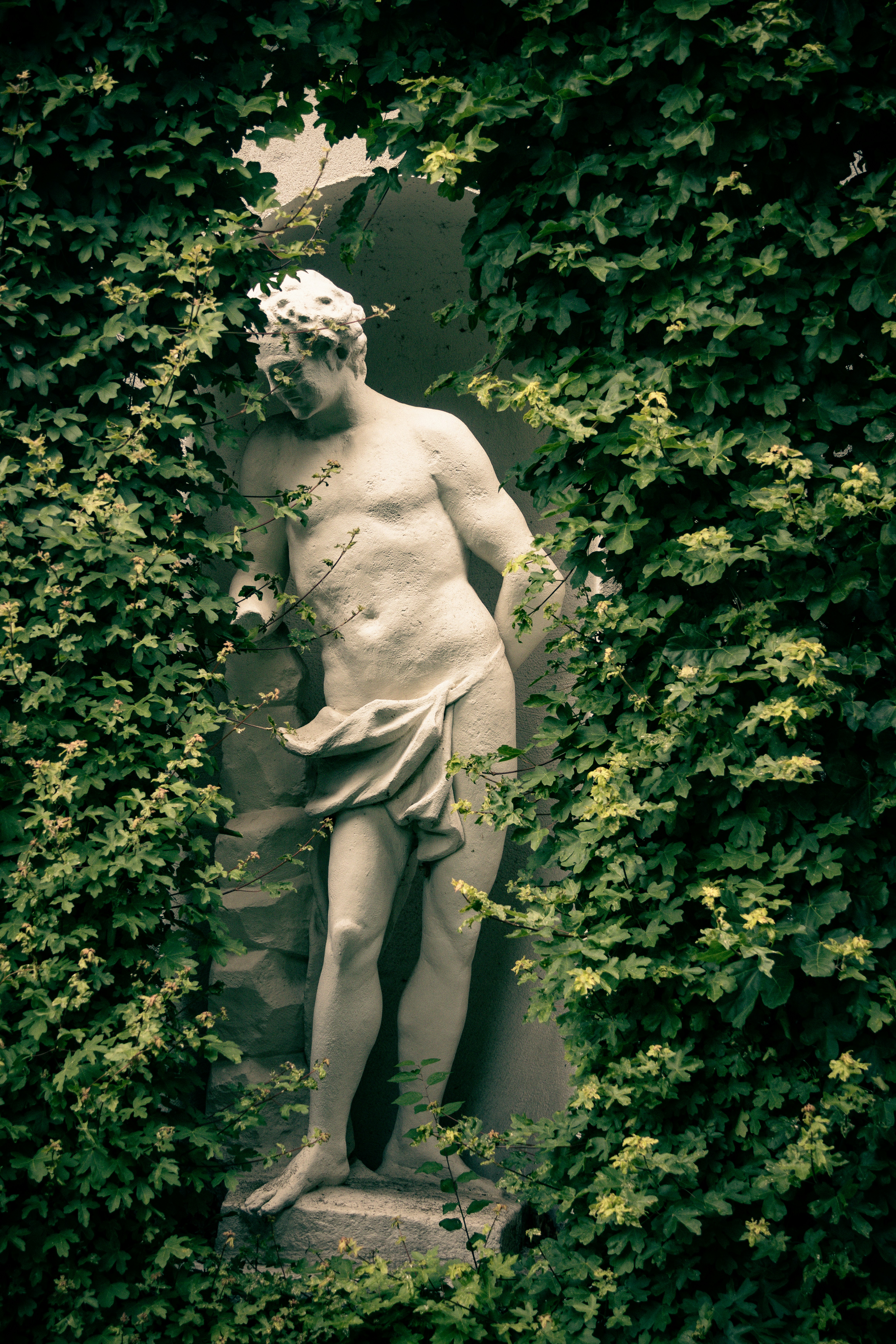 Statue Emerges from Ivy: A Quiet Moment in Green Veil