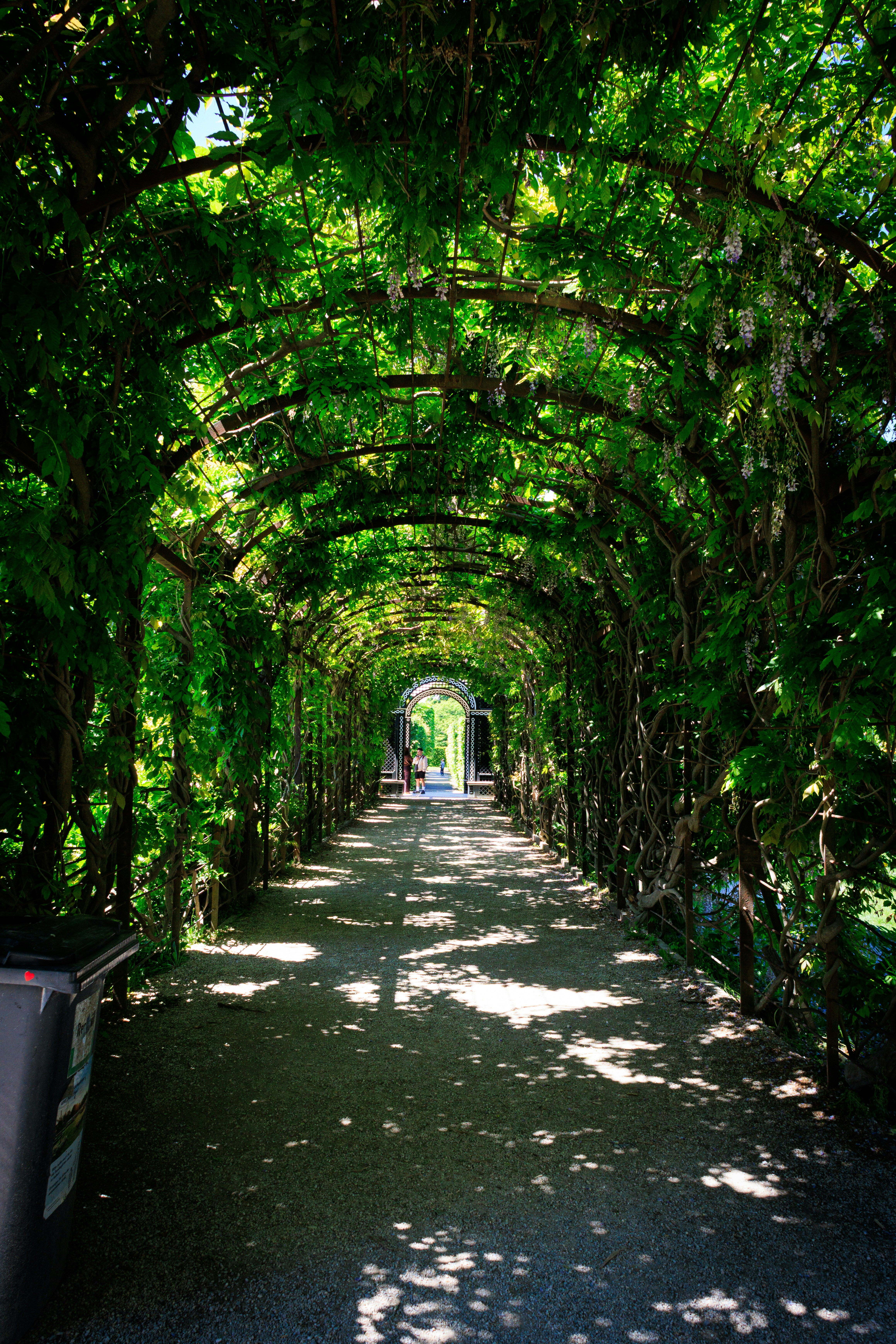 Into the Green Tunnels: Light at the End of the Archway