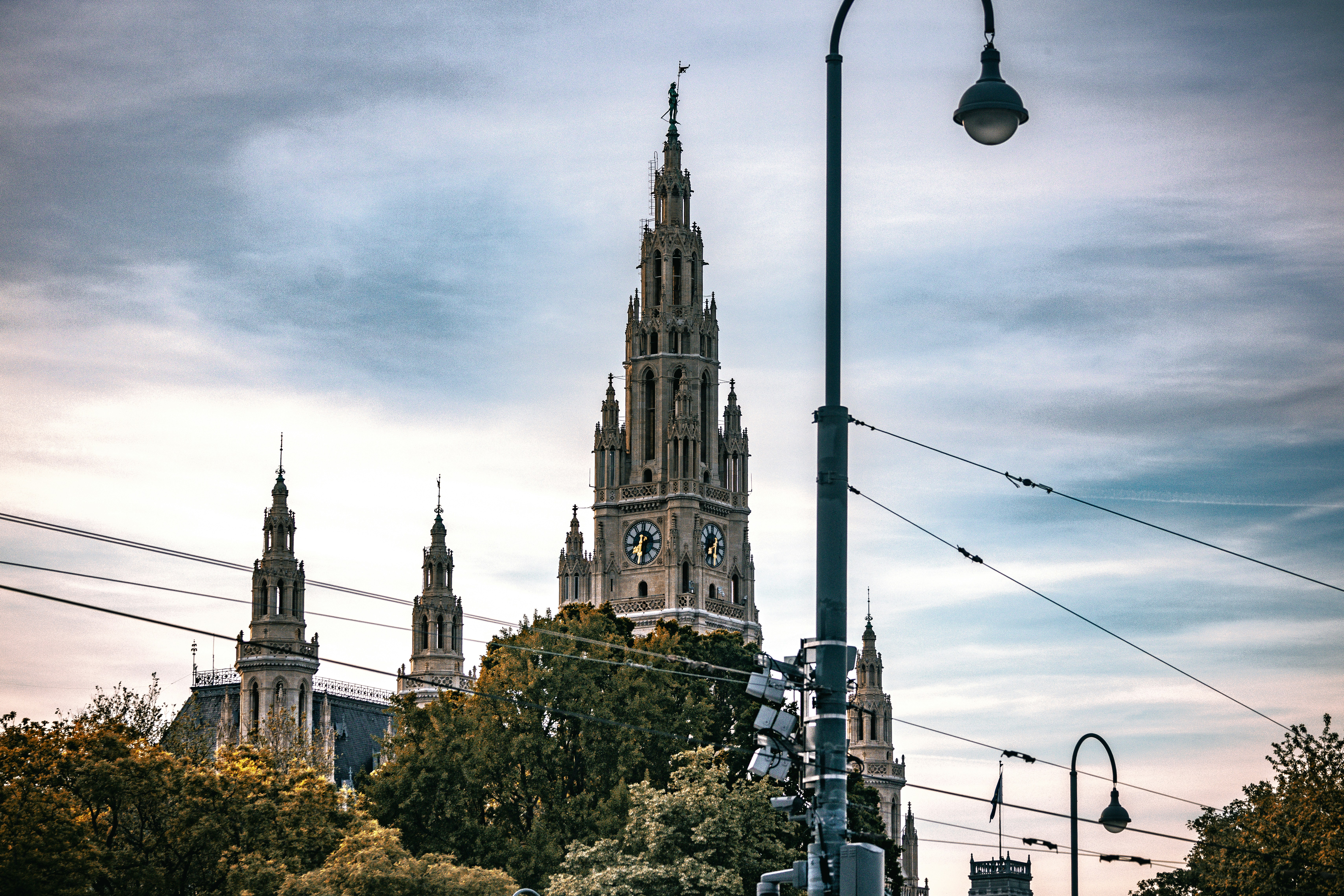 Gothic Skyline: City Hall Tower Surrounded by Trees and Trams