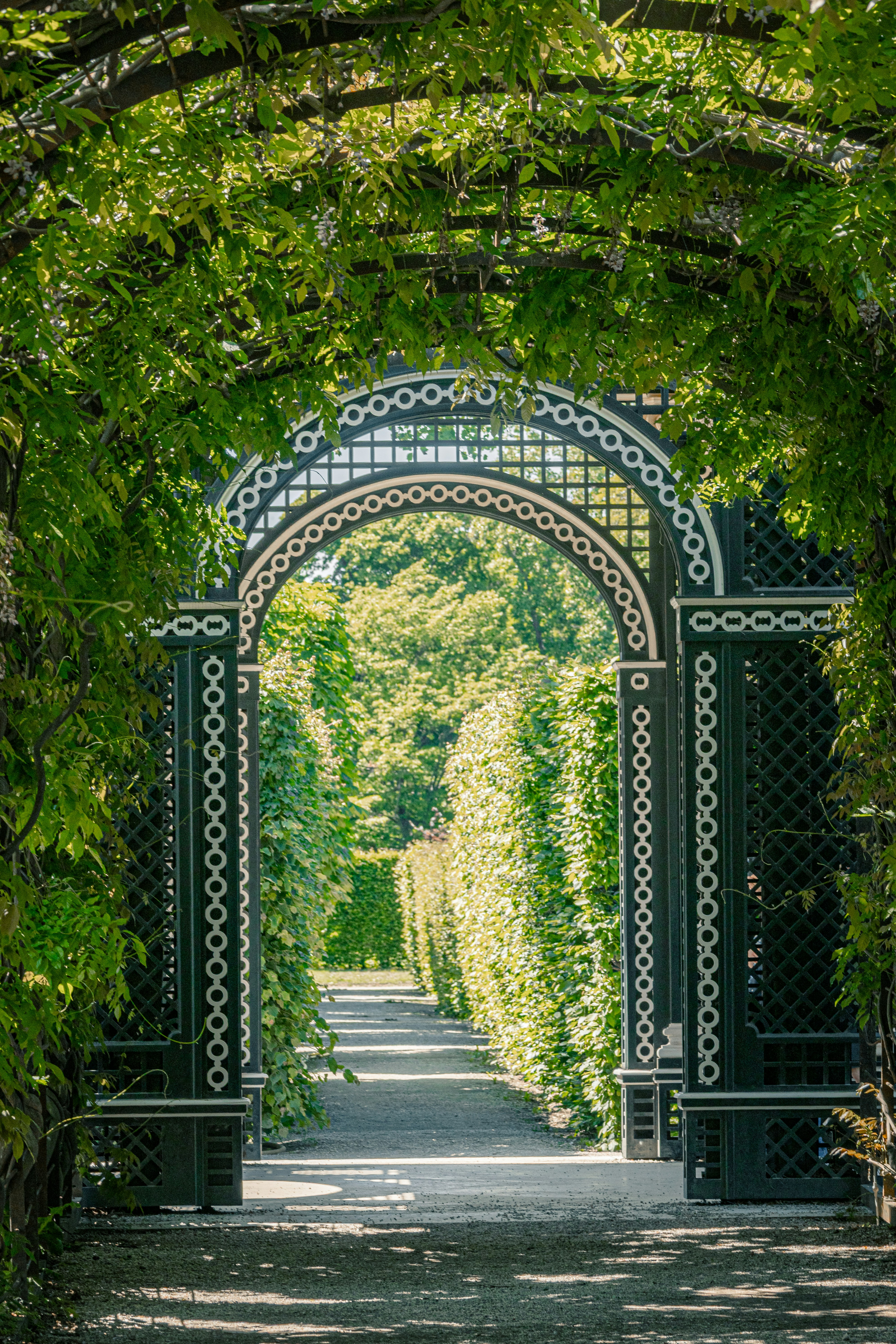 Green Archway Through the Garden Tunnel