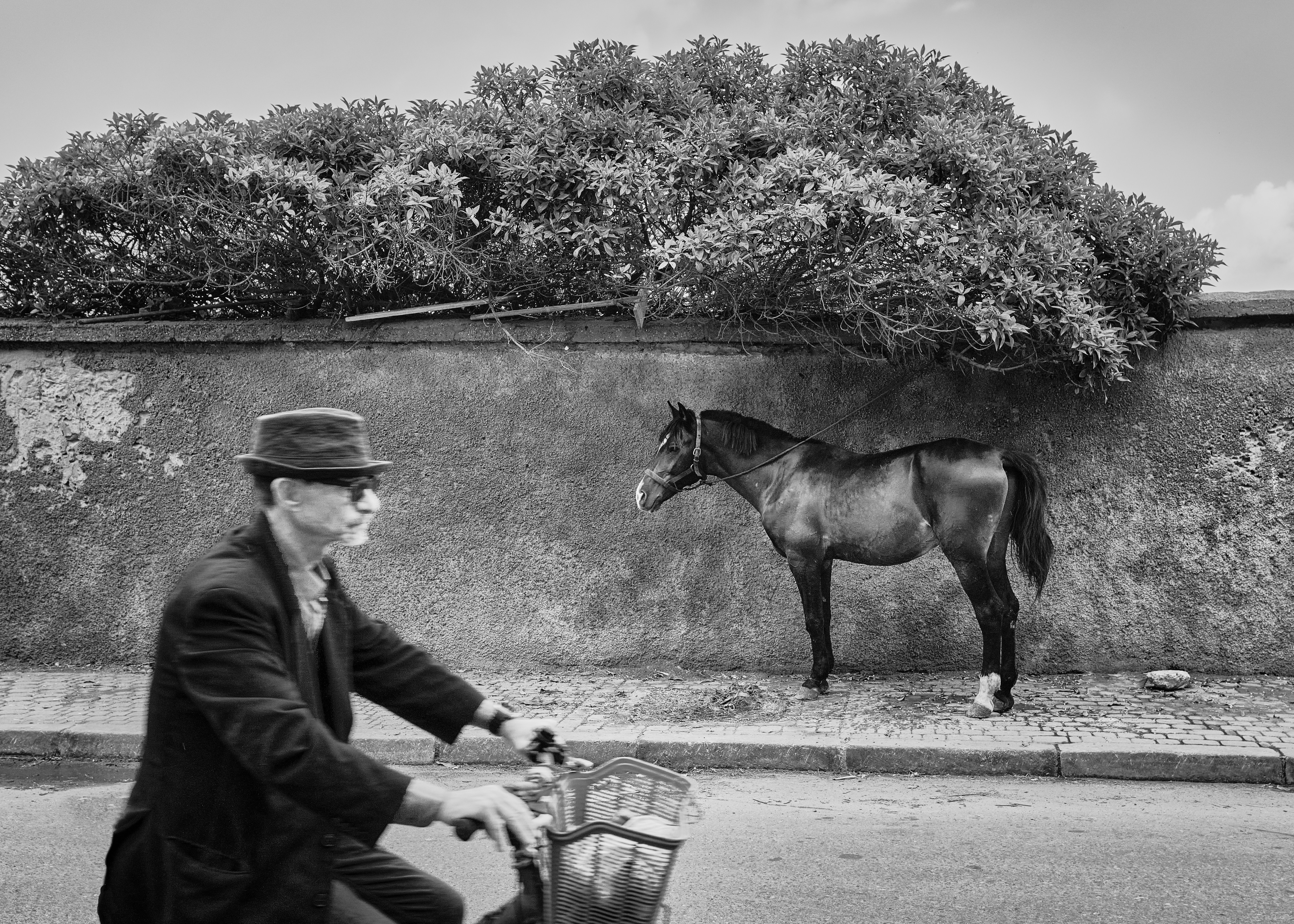 A Quiet Moment on the Street: Man, Horse, and City Edge