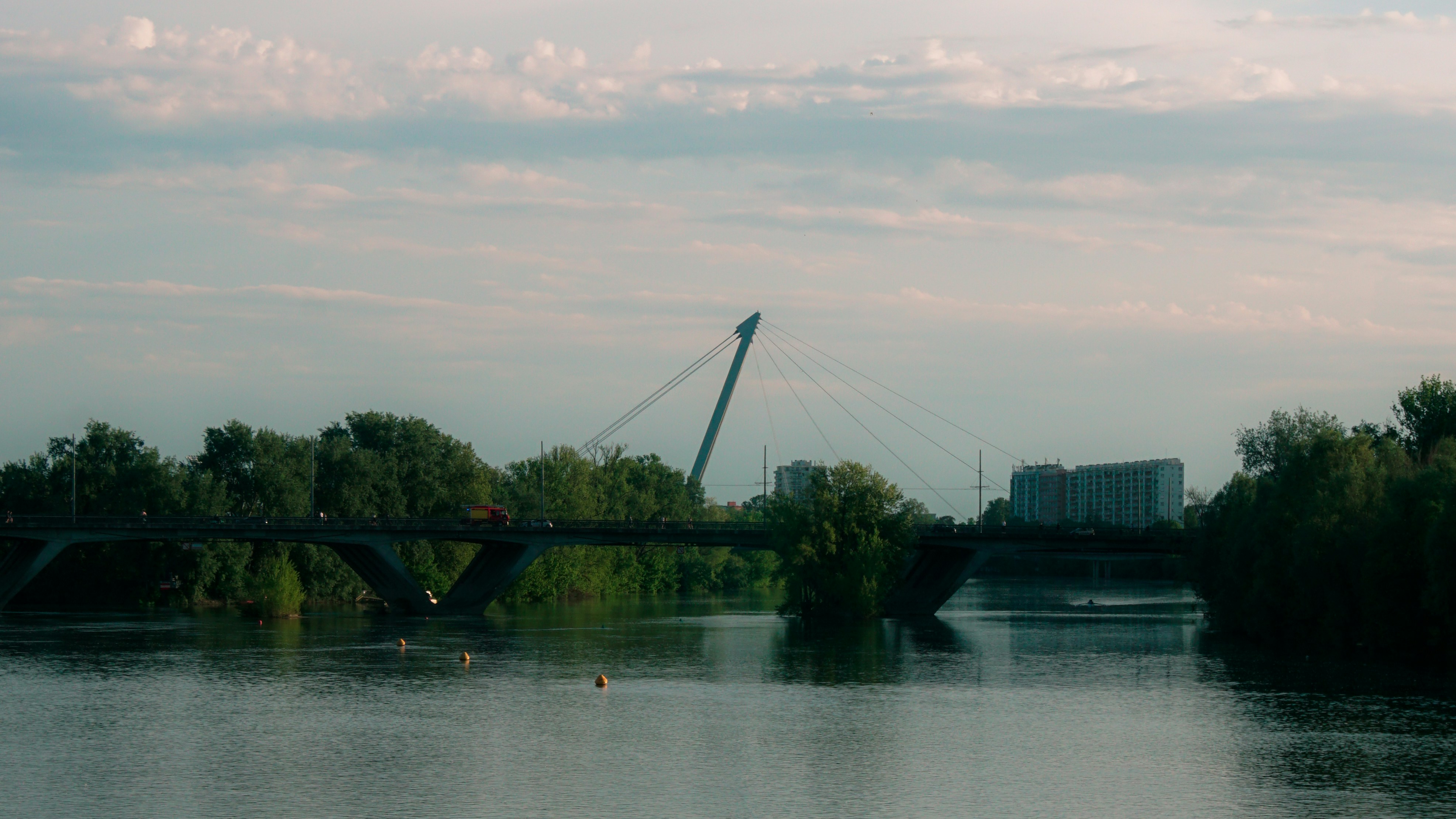 River Cable-stay Bridge Framed by Water and Trees