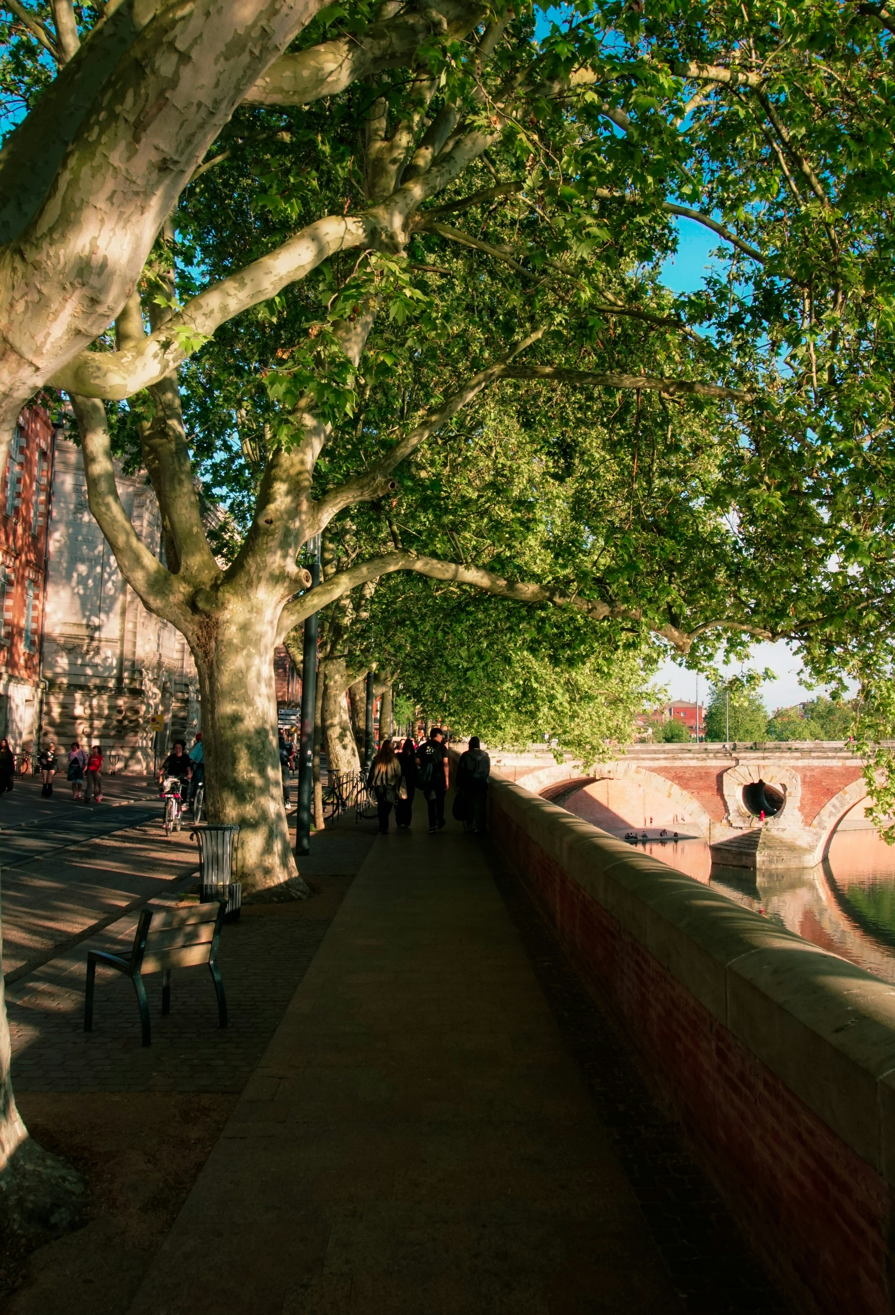 Shaded Riverwalk beneath a Canopy of Green
