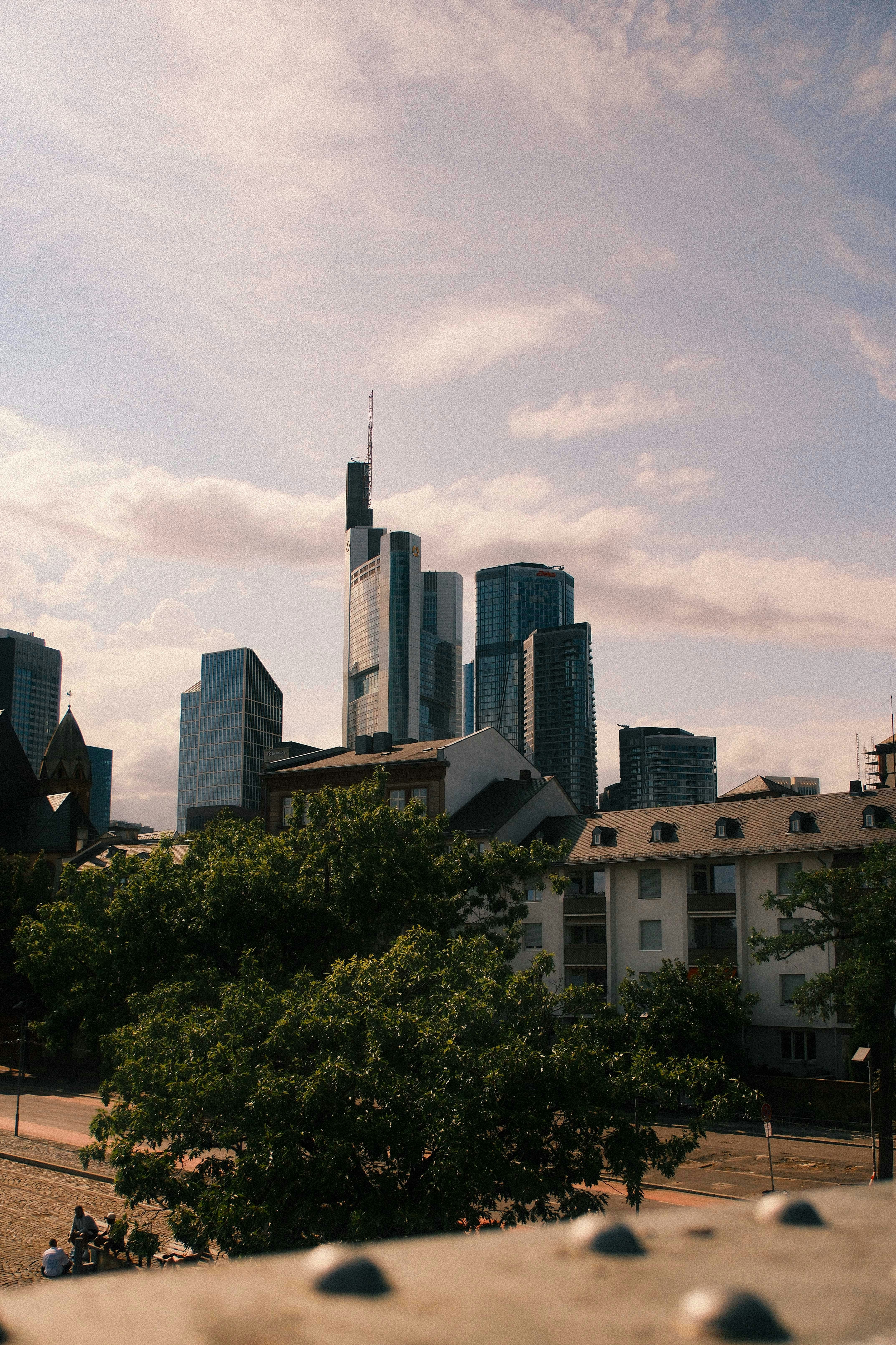 Cityscape Framed by Tree Canopy Under Paperback Sky
