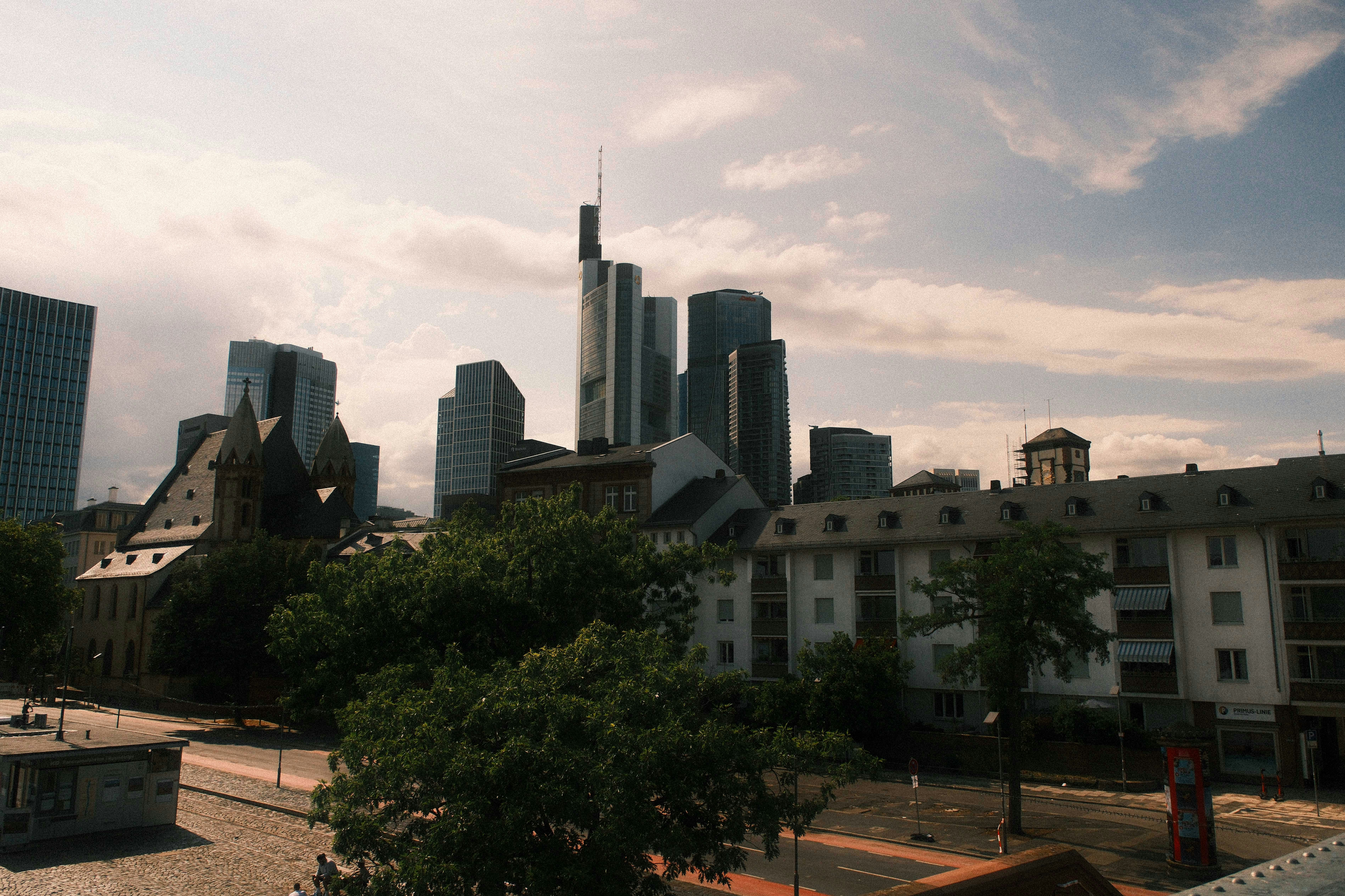Midday Skyline: Urban Core Framed by Rooftops and Trees