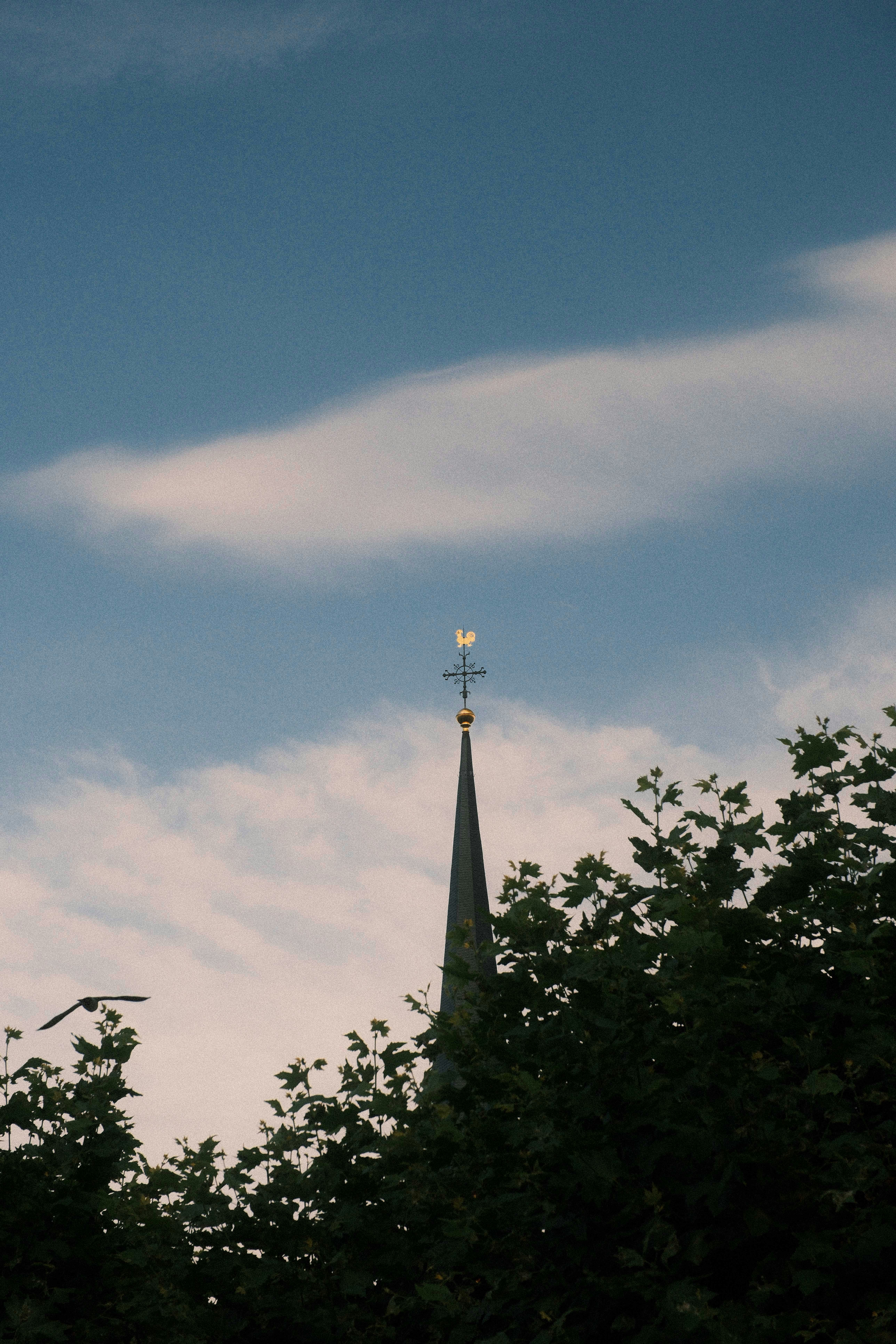 Weathervane Peak: A Church Spire Emerges Above the Trees at Dusk