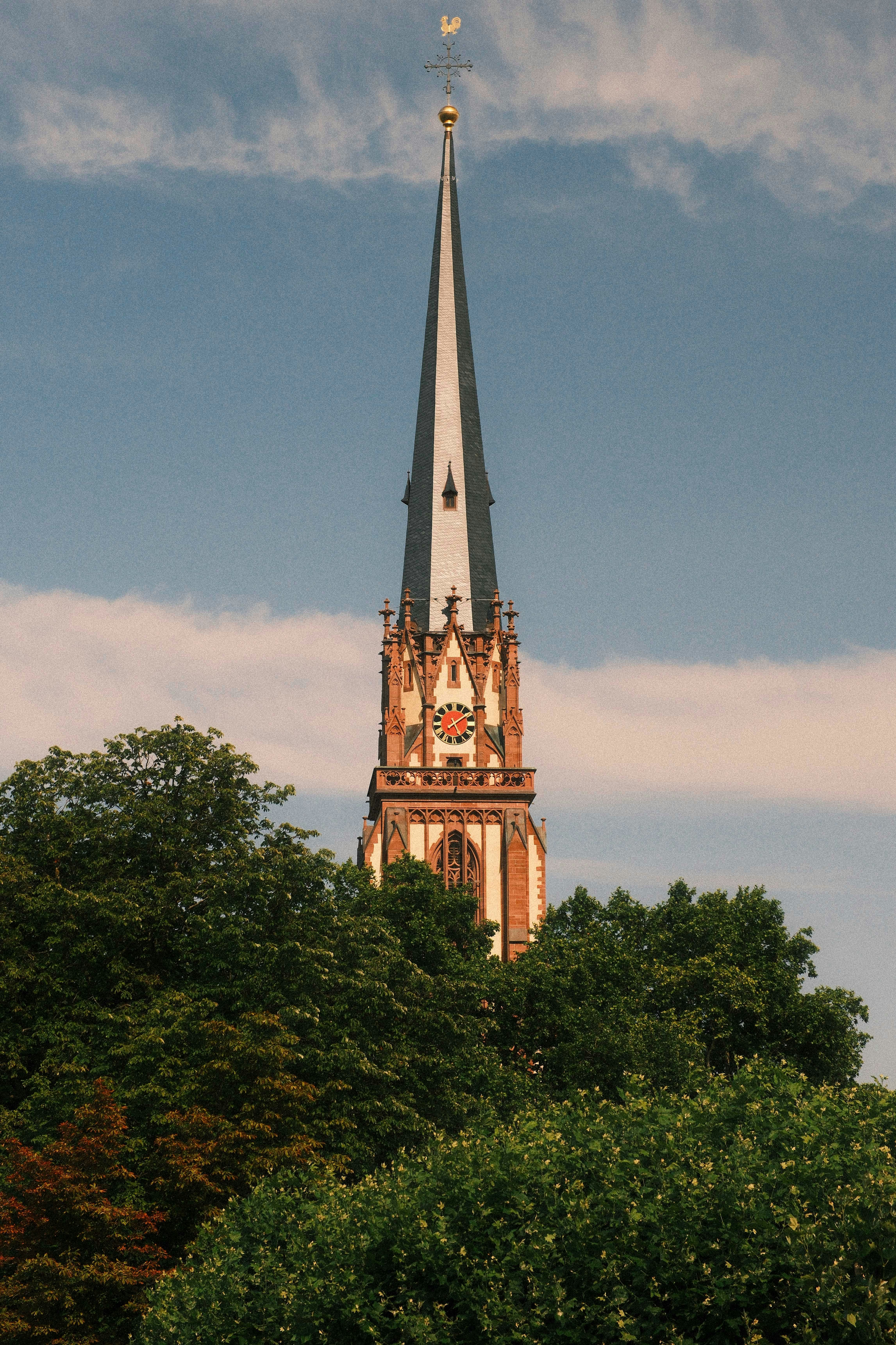 Spire and Clock: A Gothic Tower Piercing the Tree Line