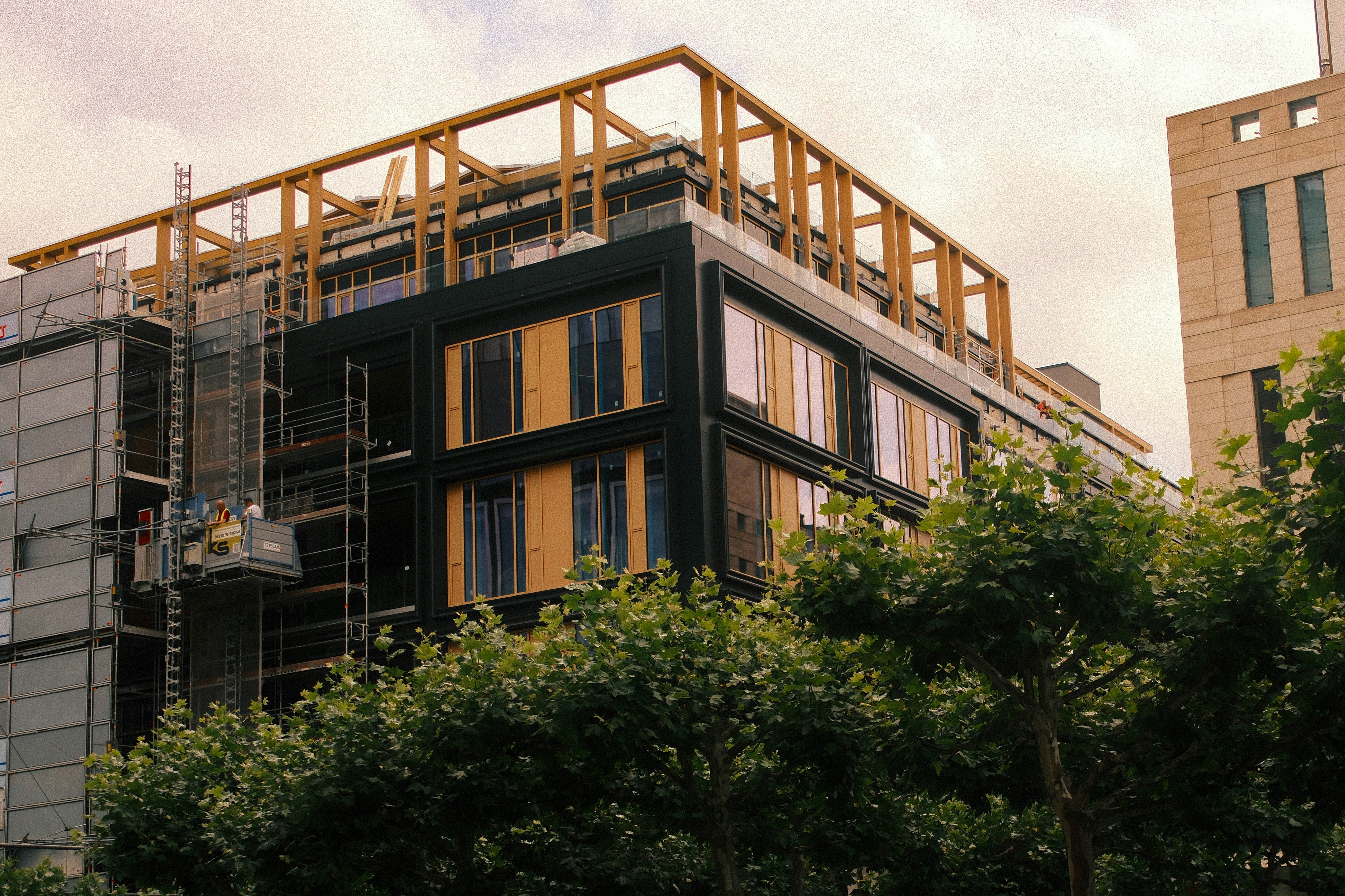 Under Construction: Modern Block Rising Above a Green Canopy