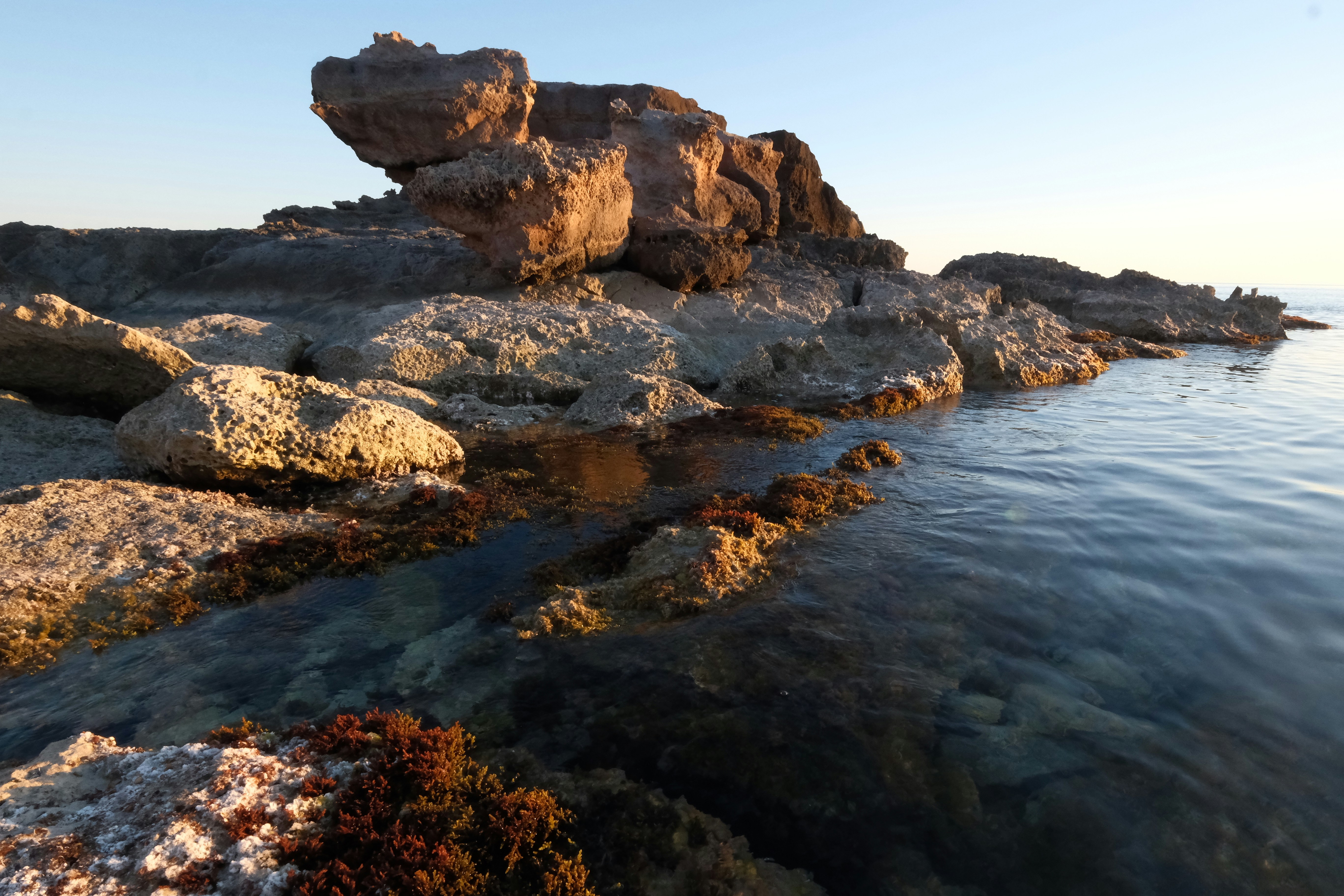 Quiet Promontory: Sunlit Sea Rocks at Dusk
