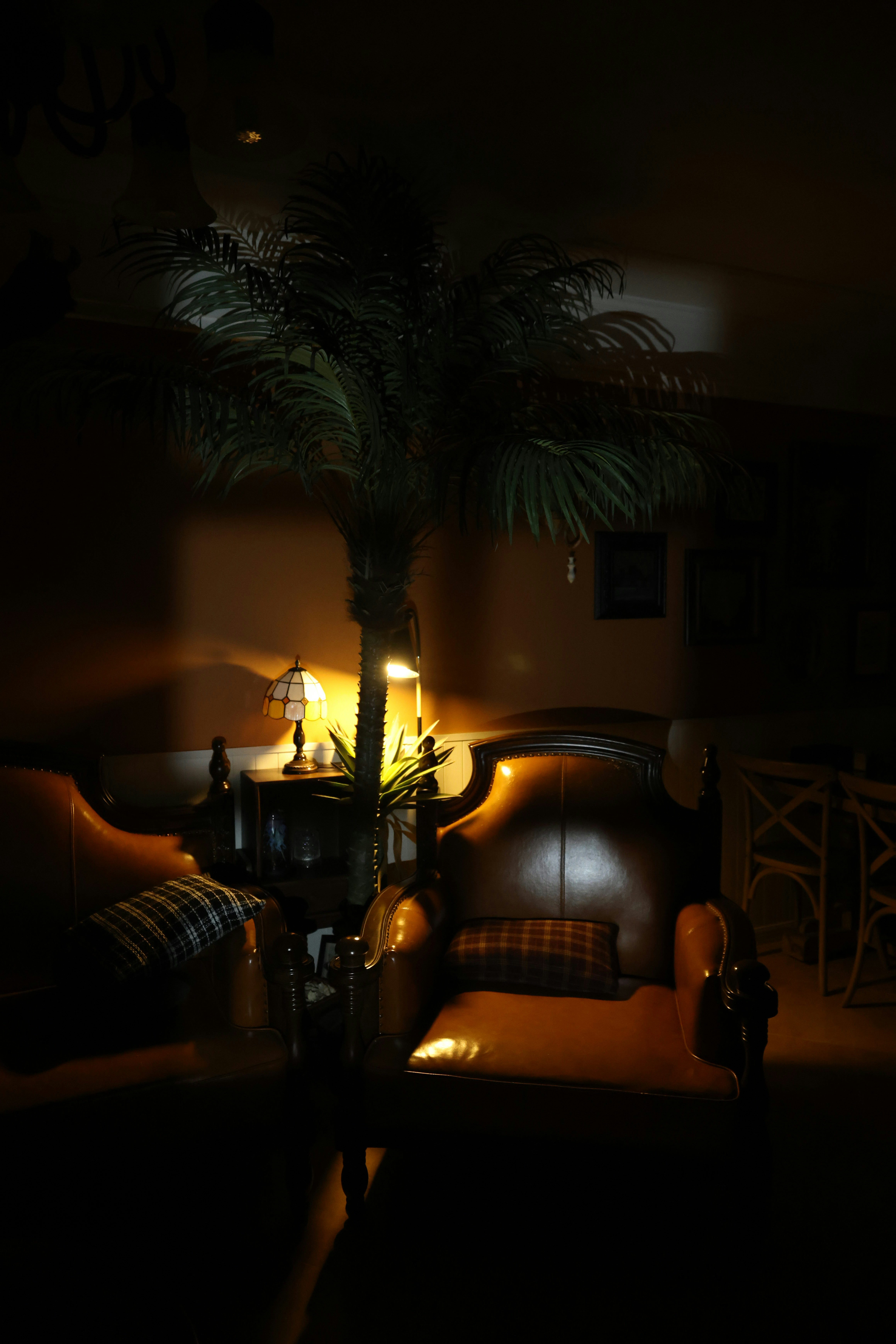 Low-lit Lounge with a Gilded Palm and Warm Glows