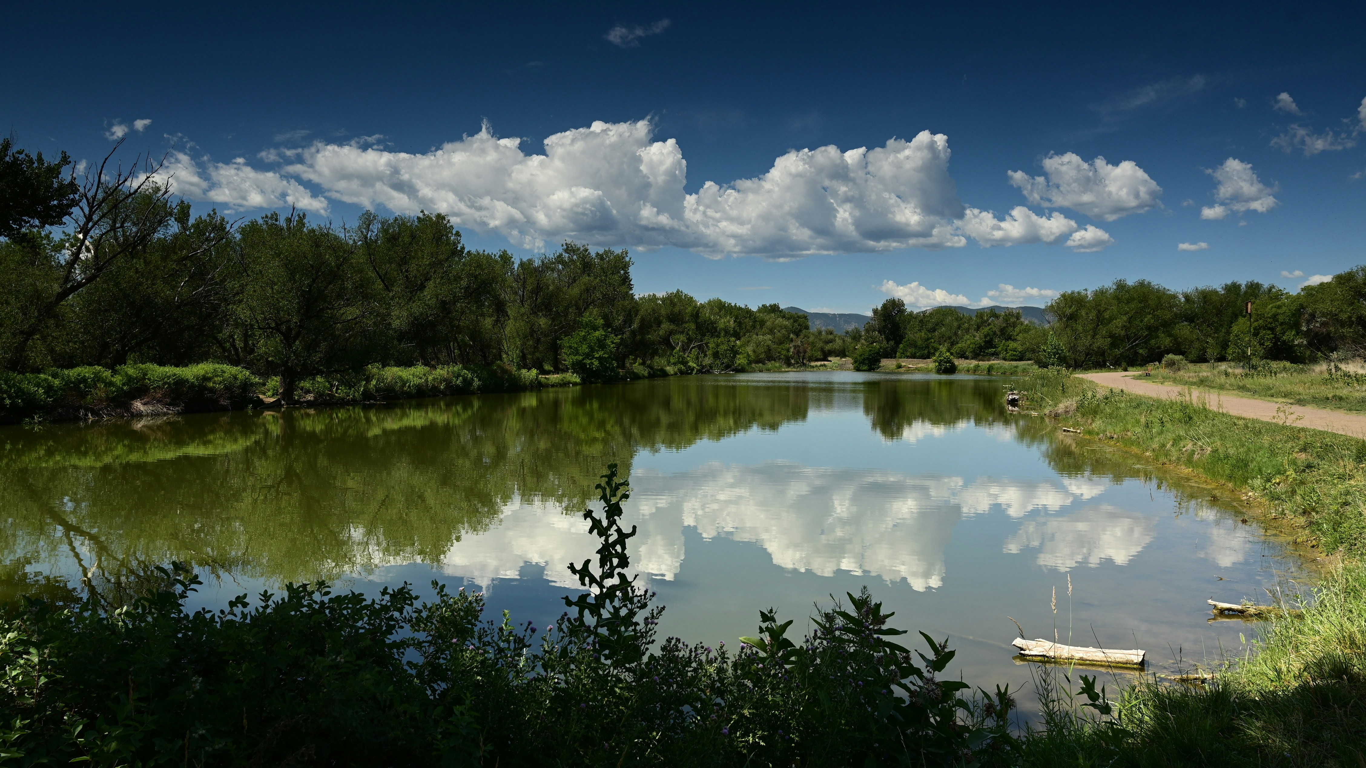 Mirror of Quiet Waters: A Riverbank Under a Wide Sky