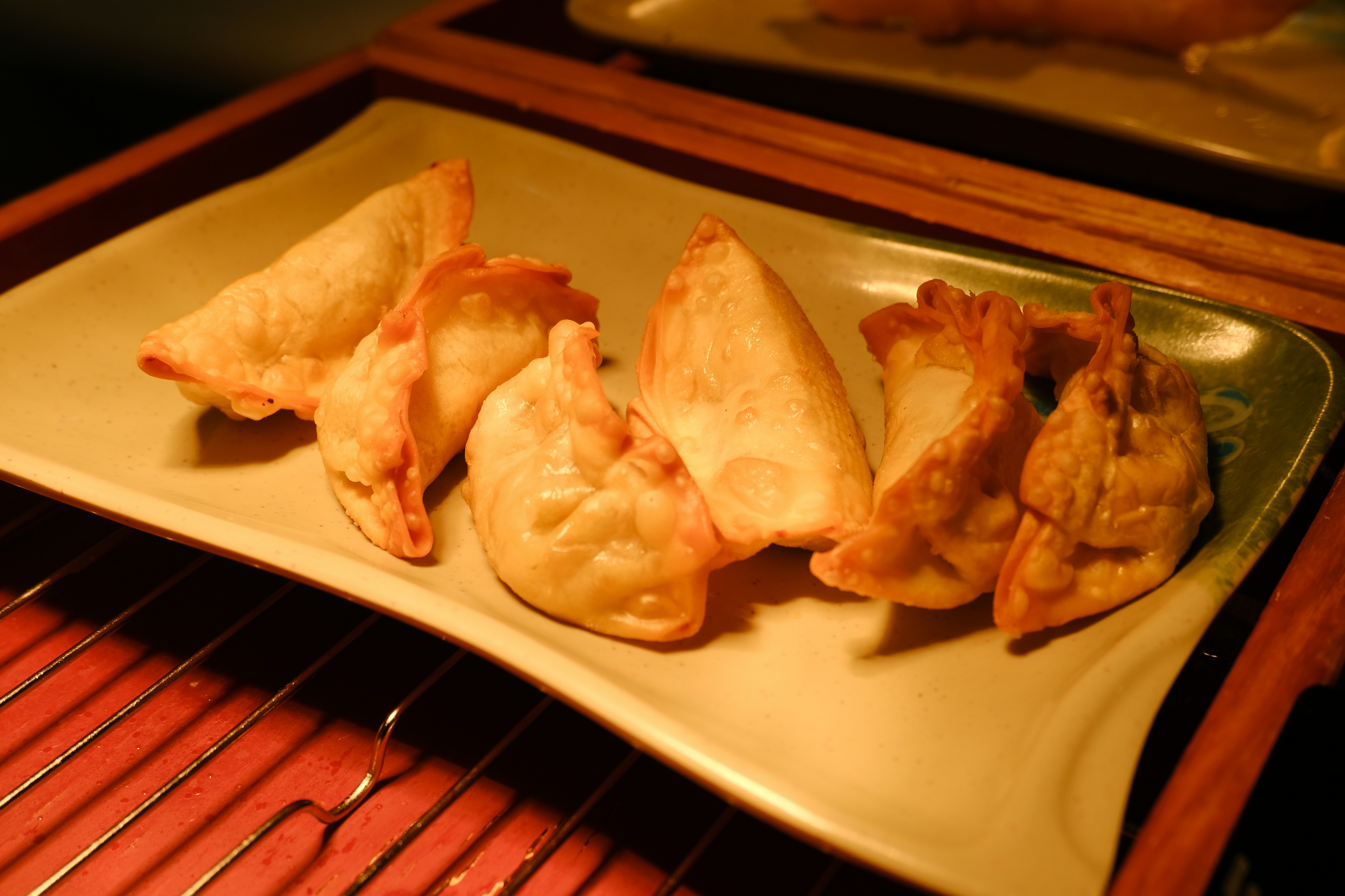 Warm Plate of Gyoza: Golden Dumplings under Dim Ambience