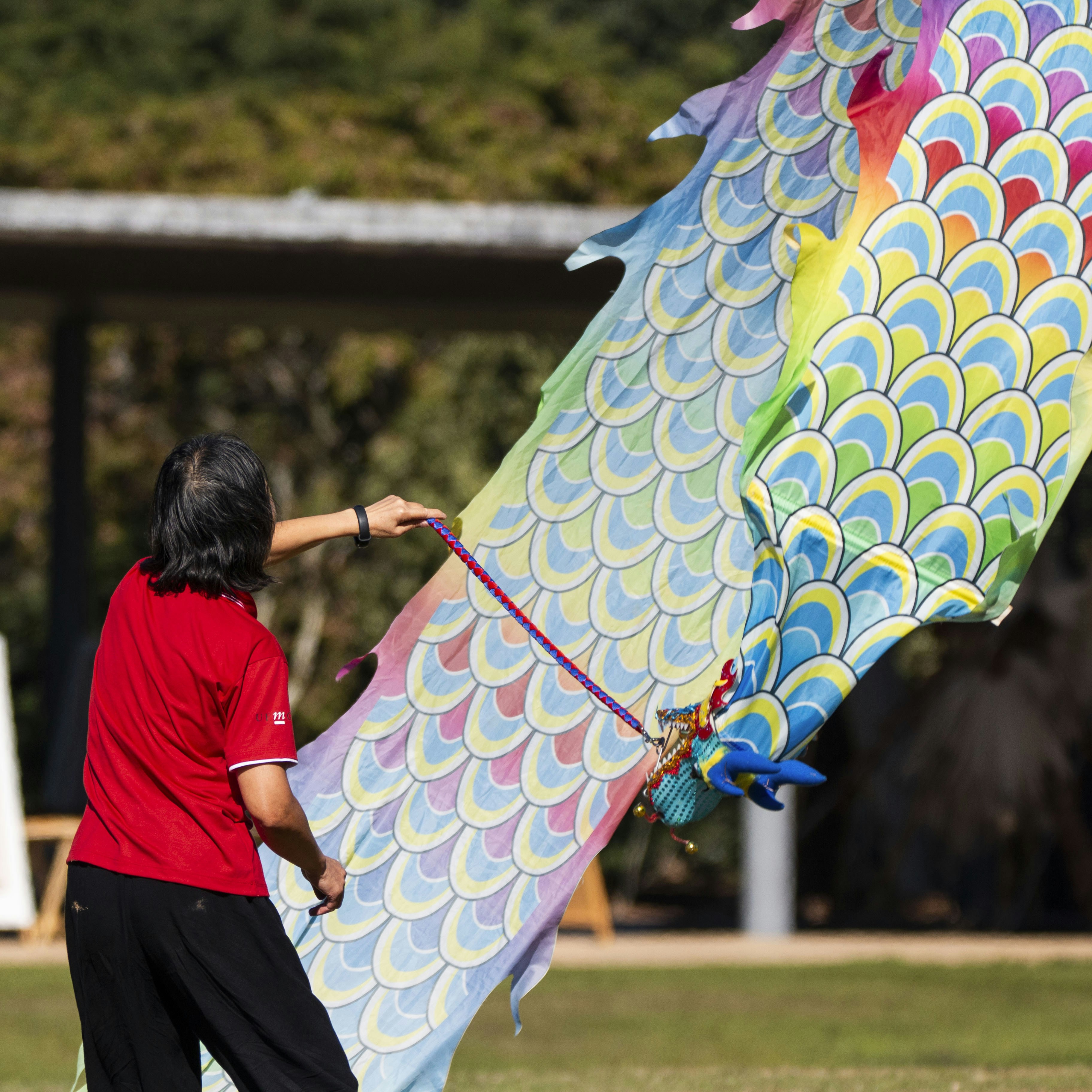 Red-clad handler guides a vibrant dragon kite across a sunlit field