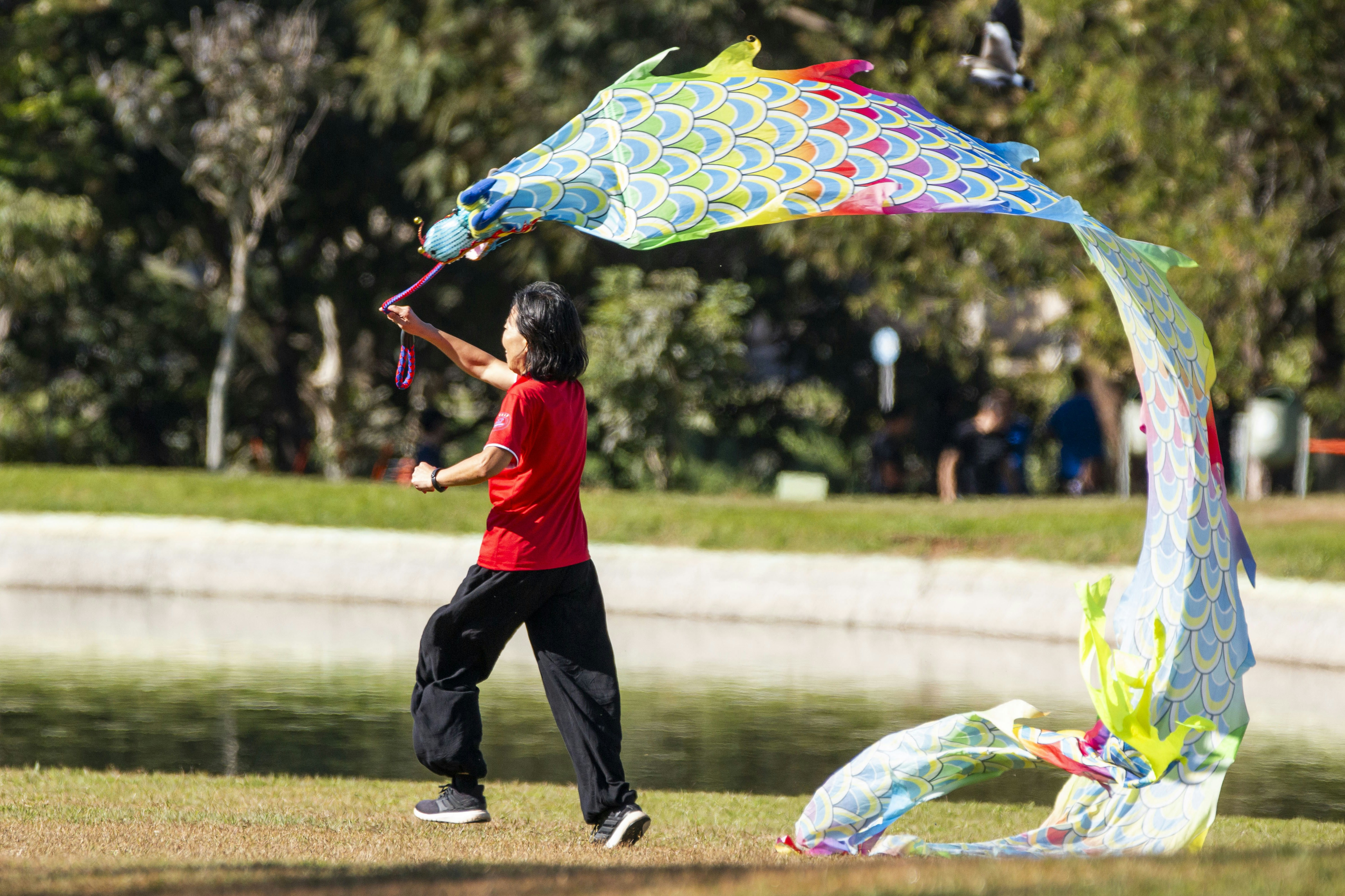 Red Shirt Marathon: The Dragon Kite Unfurls Over a Park