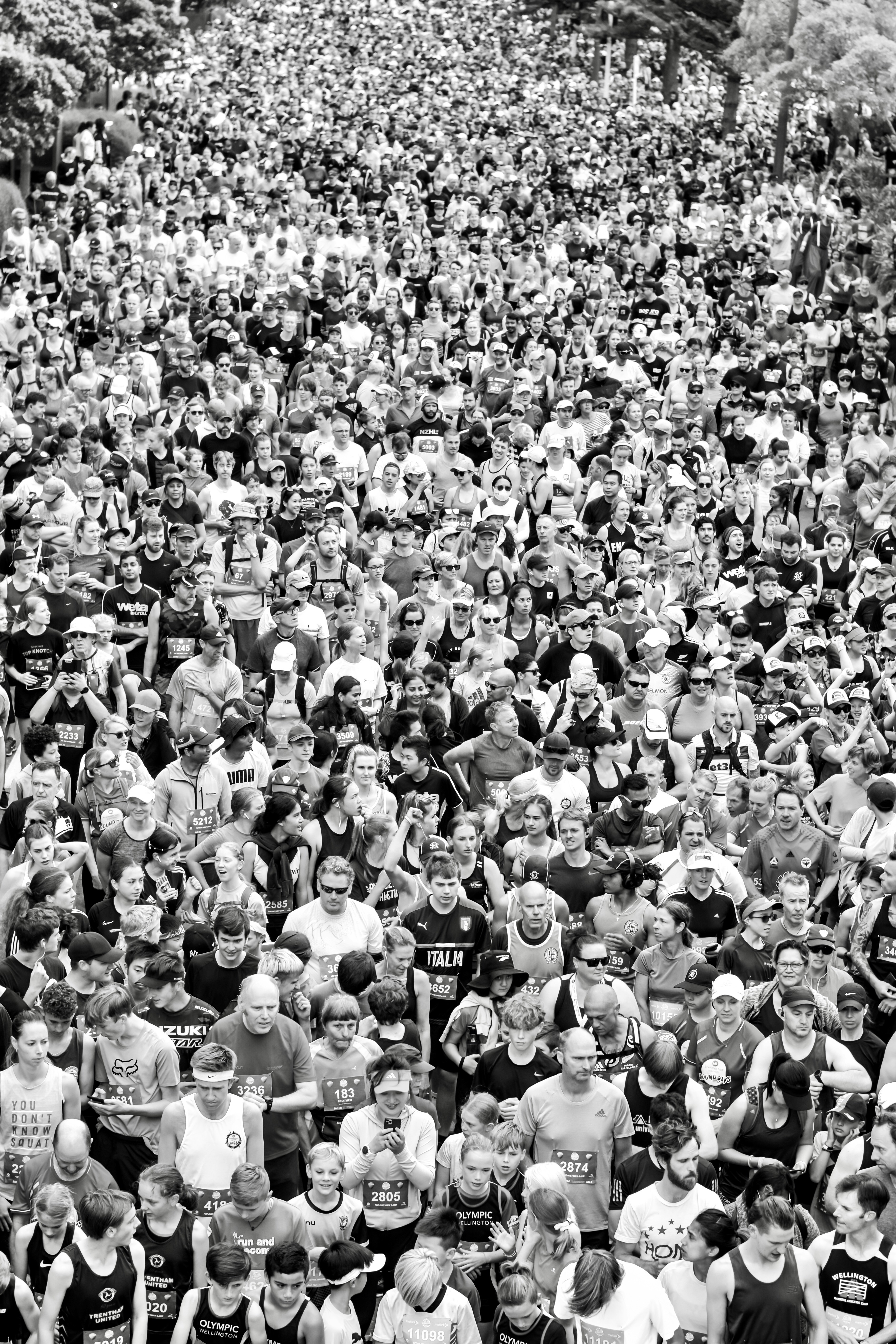 Sea of Faces: A Black-and-White Crowd Portrait