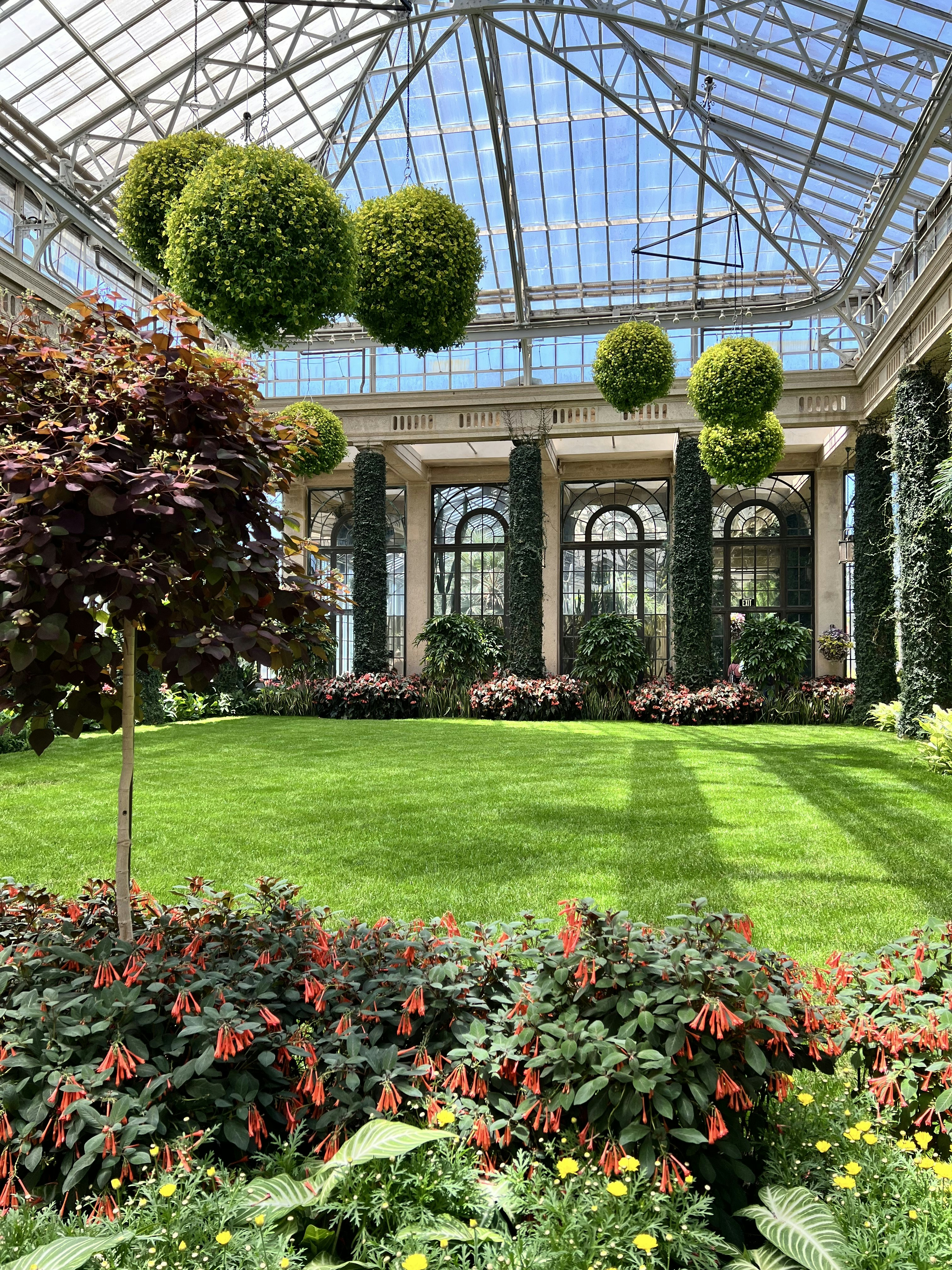Sunlit Conservatory Terrace with Sculpted Topiary and Glass Ceiling