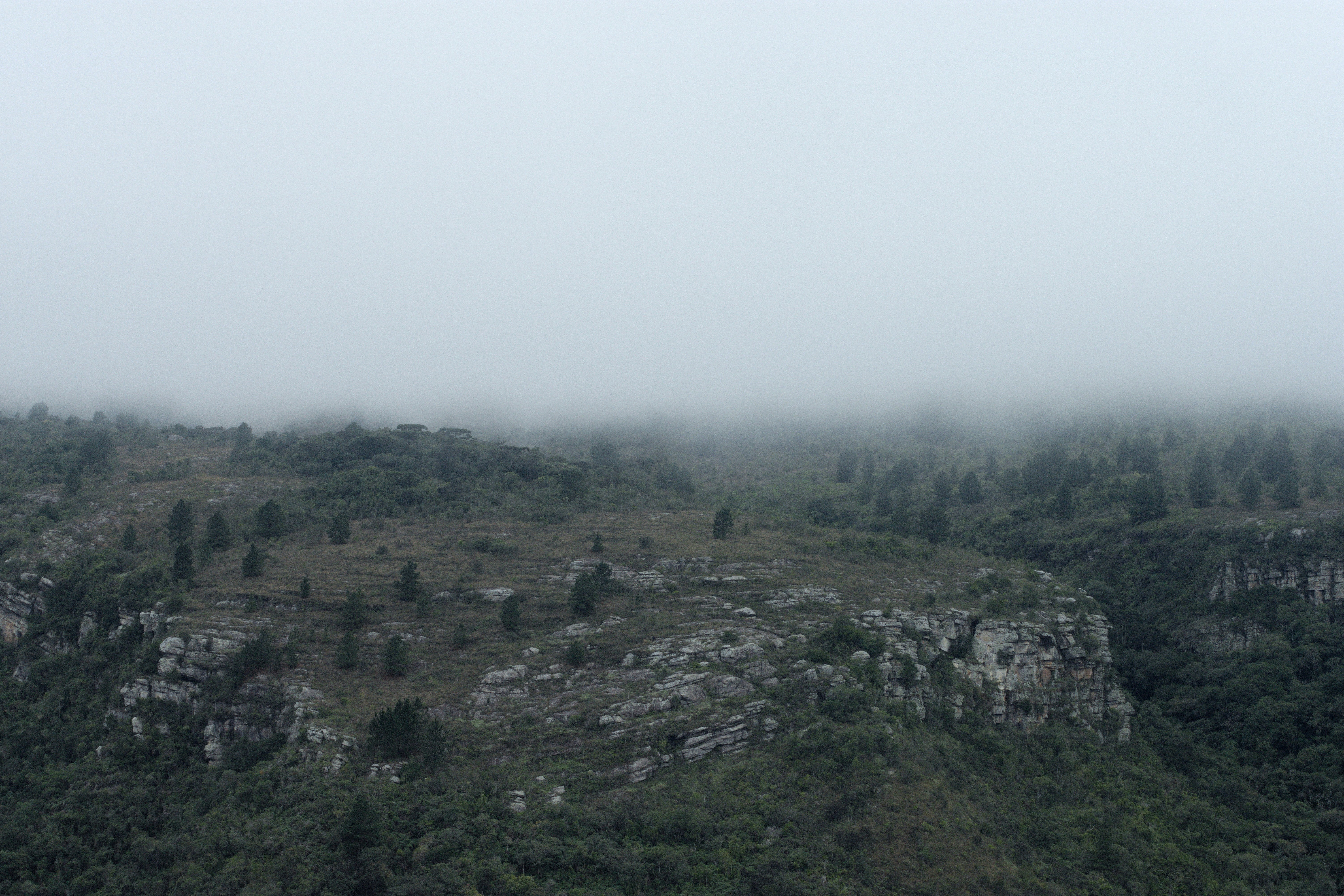 Mist Over a Rugged Ridge