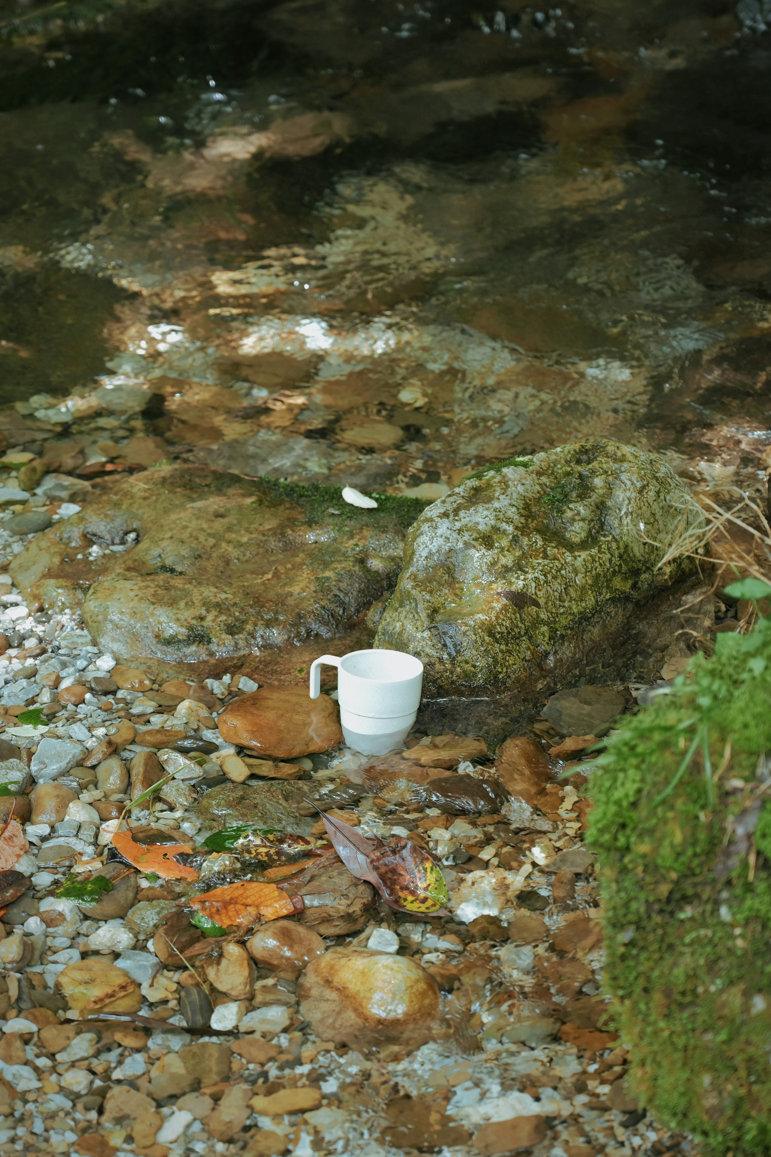 White mug resting near a mossy rock by a shallow stream, surrounded by multicolored pebbles and fallen leaves.