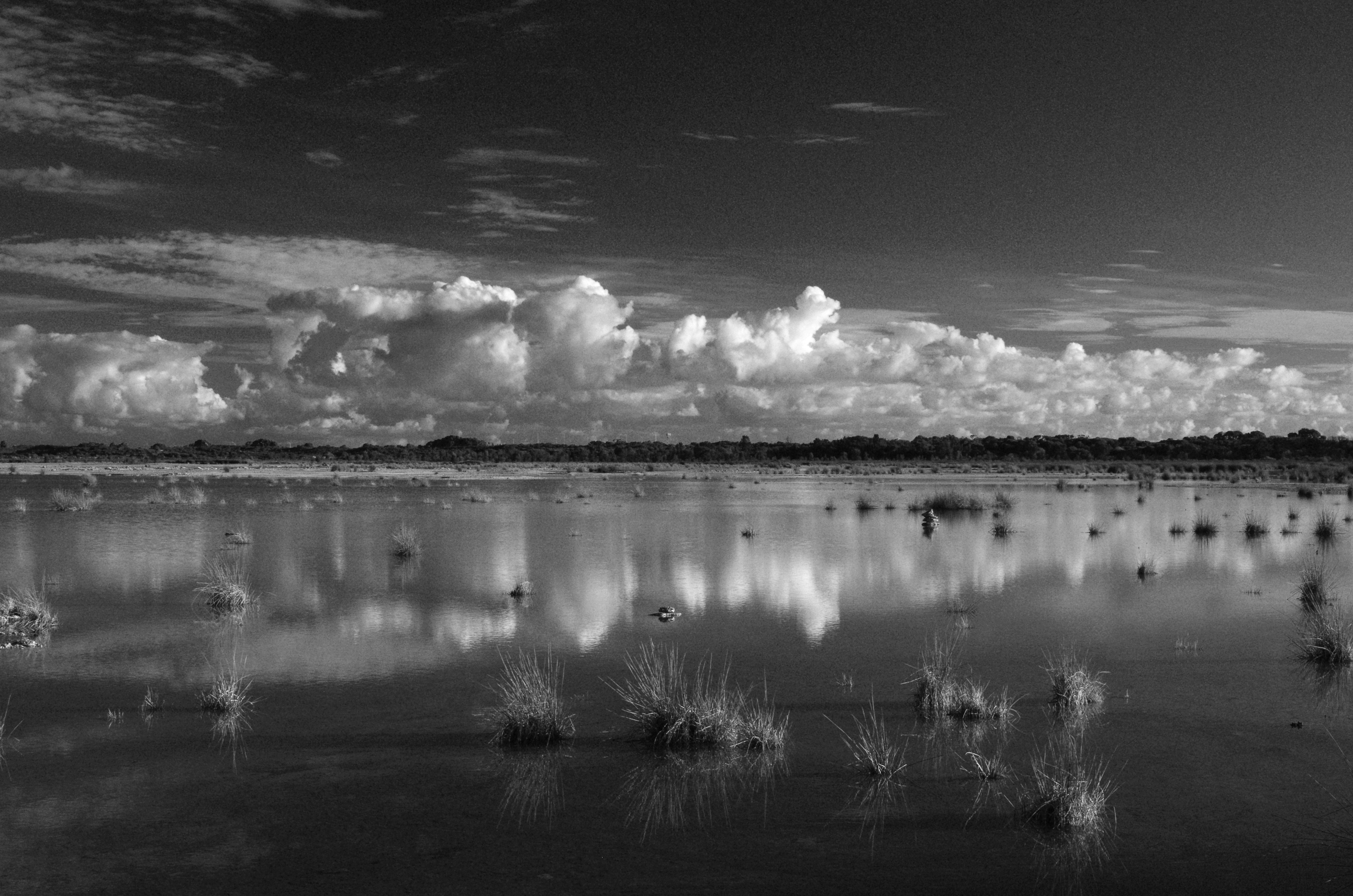 Rolled Clouds Over a Quiet Tidal Plain