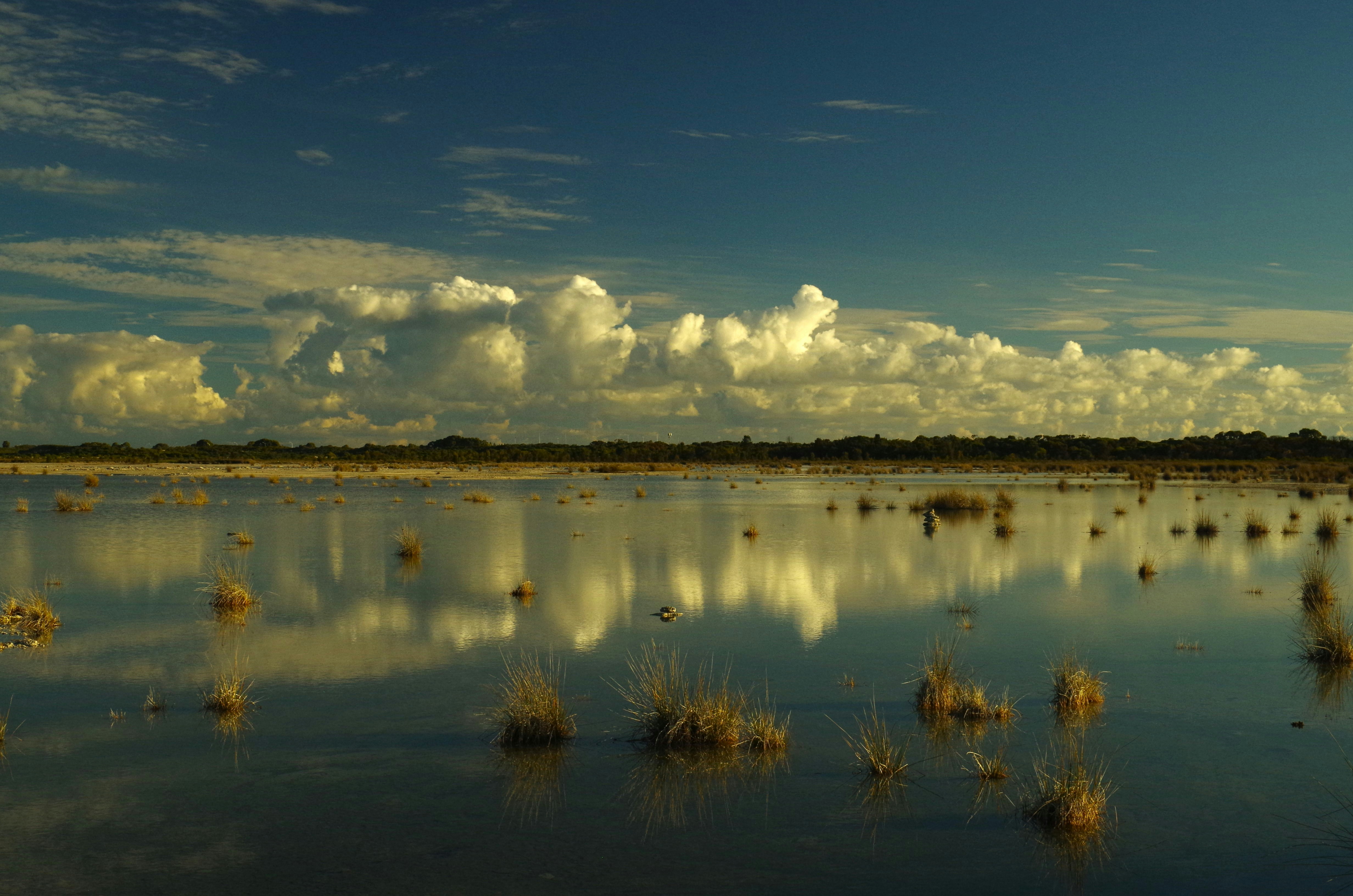 Mirror Grasslands at Quiet Horizon