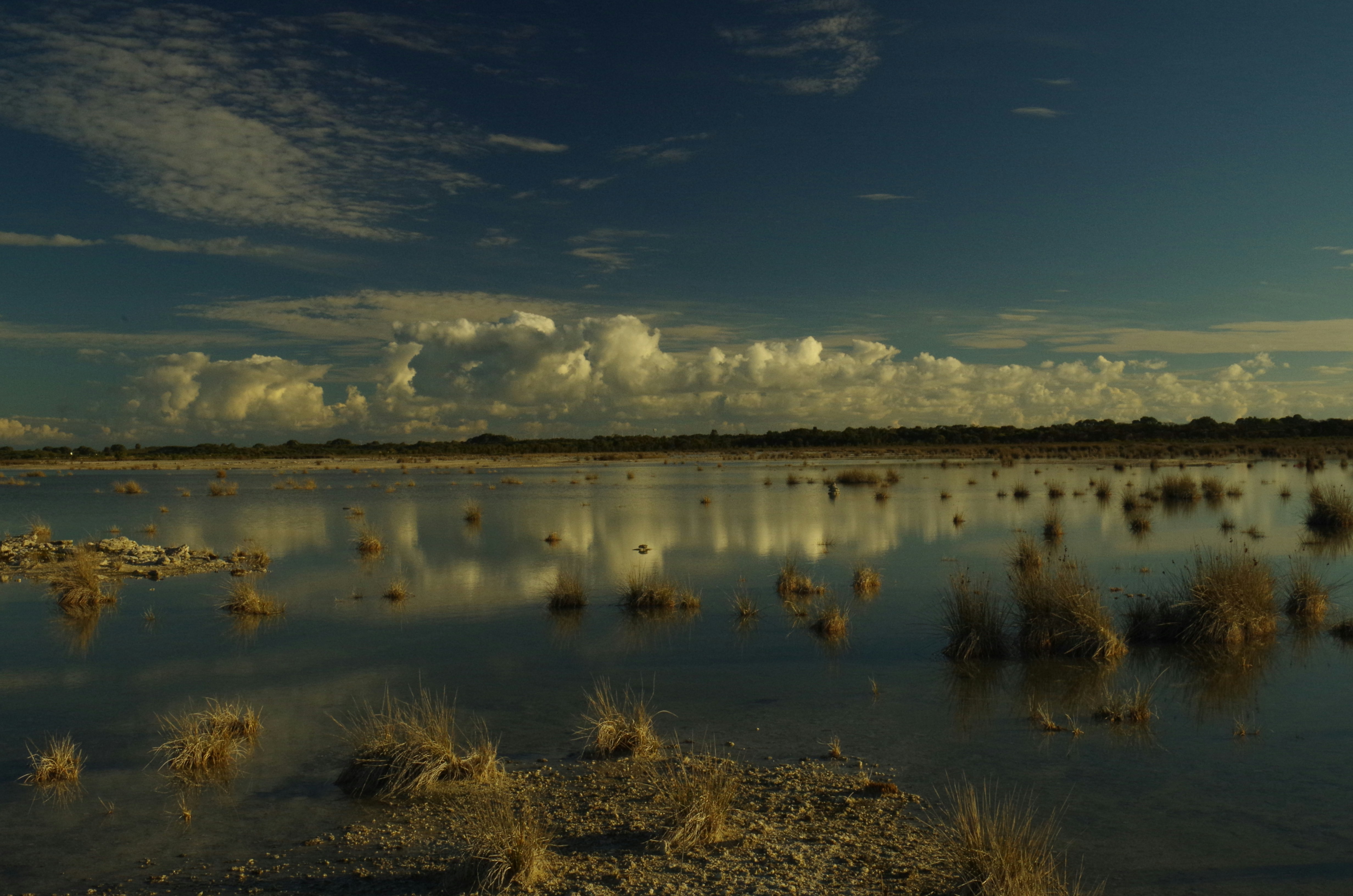 Reflections at Distant Marsh Clouds