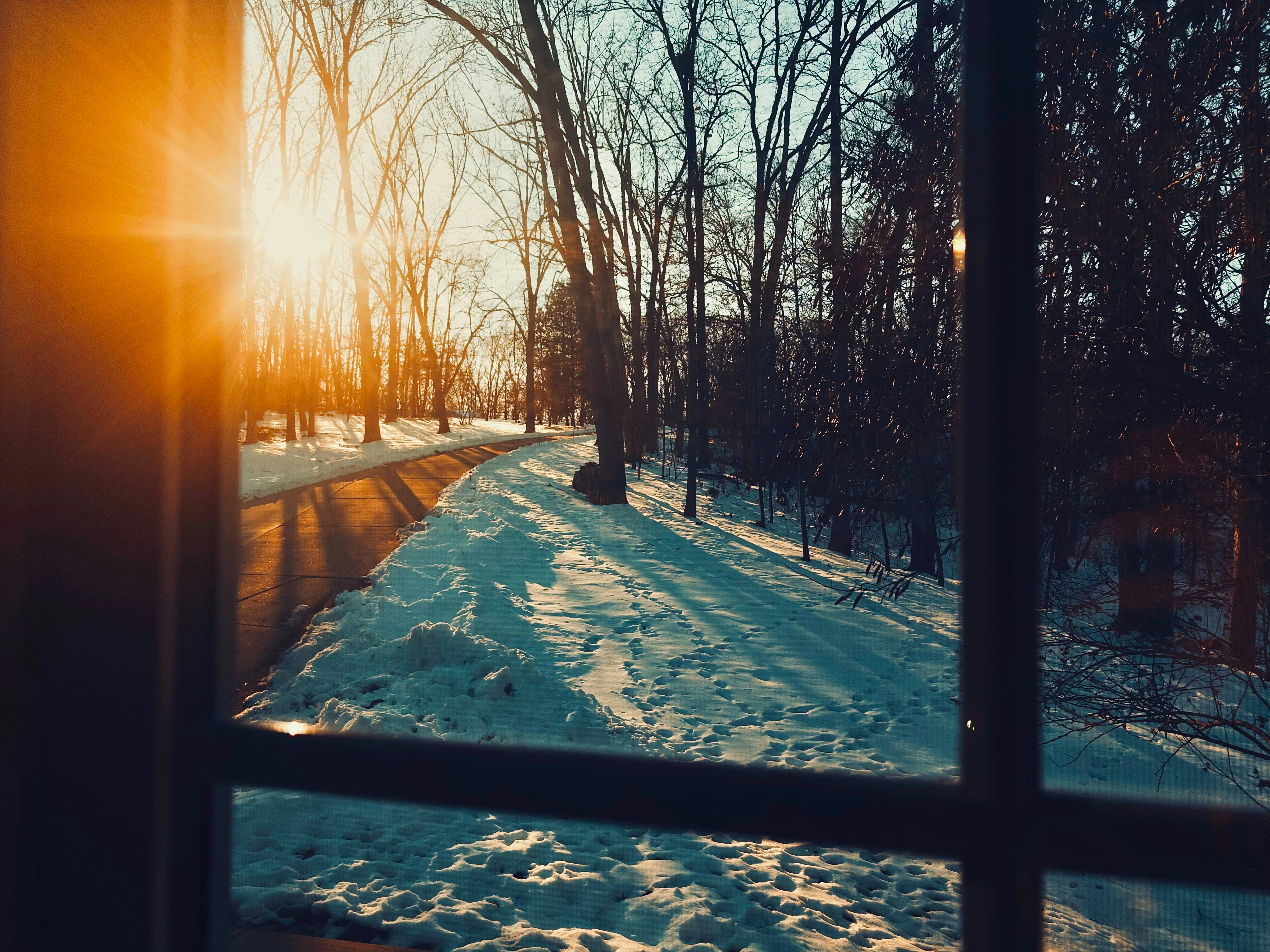 Golden Hour Through the Winter Corridor