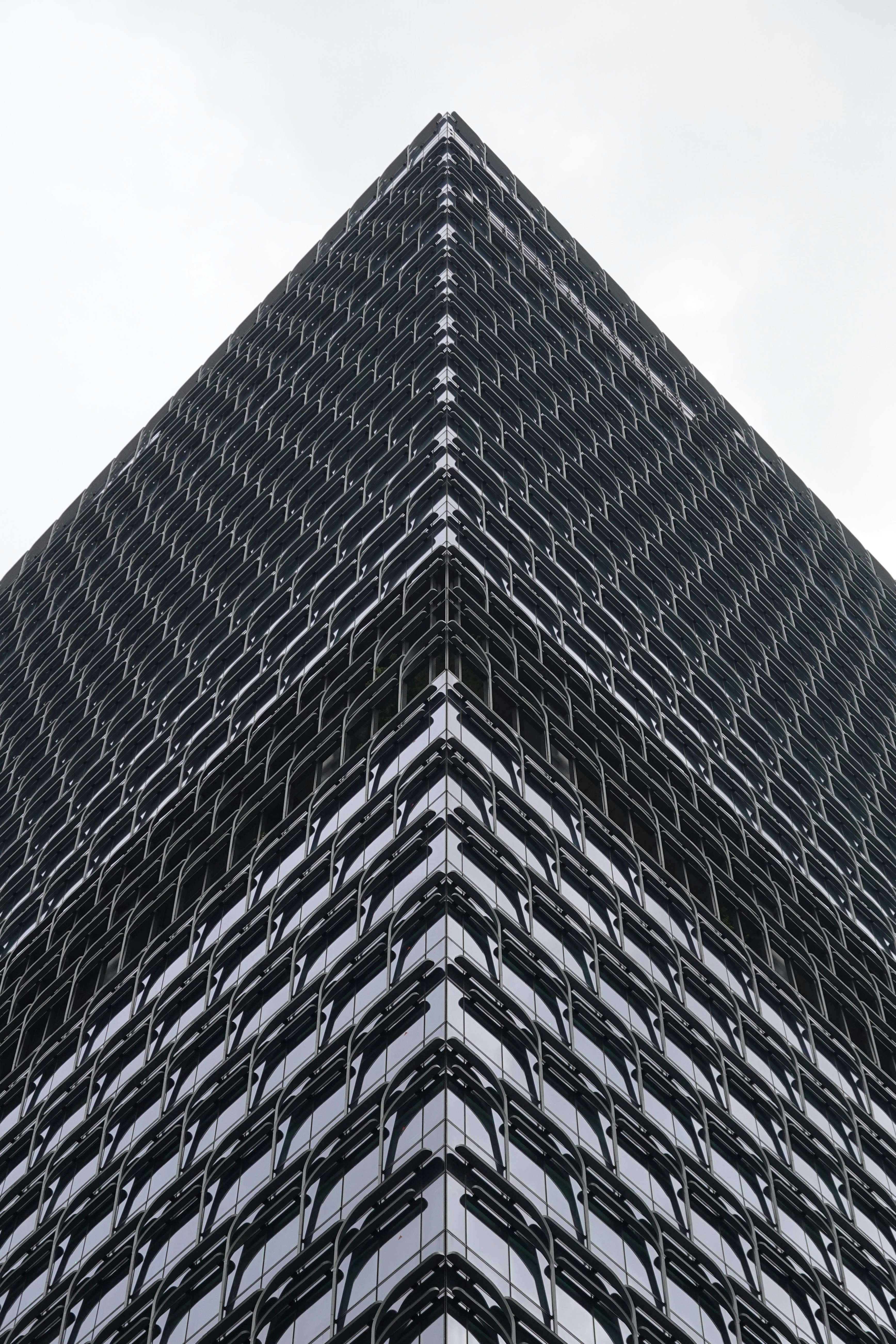 Corner of Containment: A Velvet Facade Reaches Toward the Sky