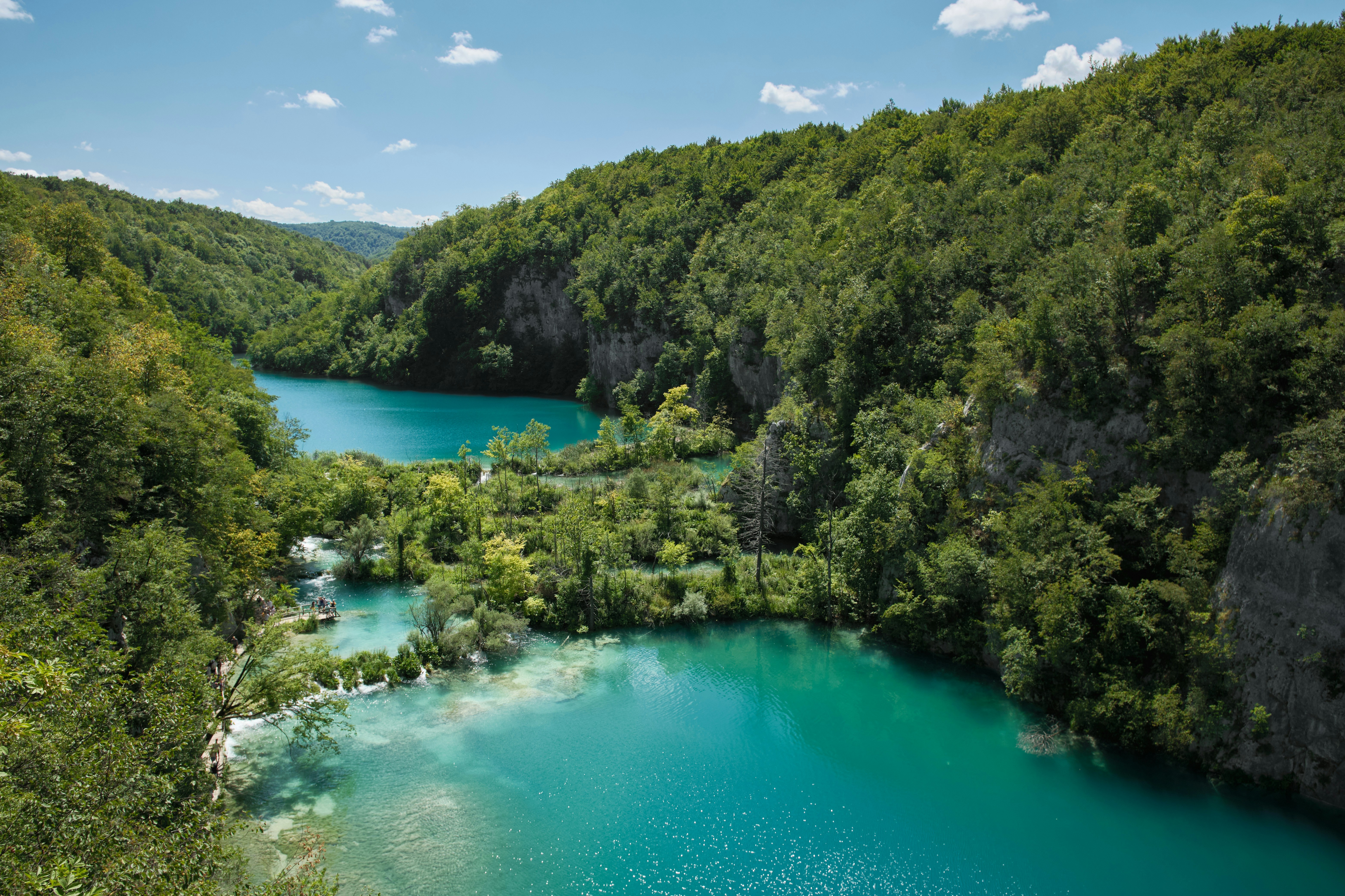 Emerald Cenote Valley: A River of Turquoise Inside Green Cliffs