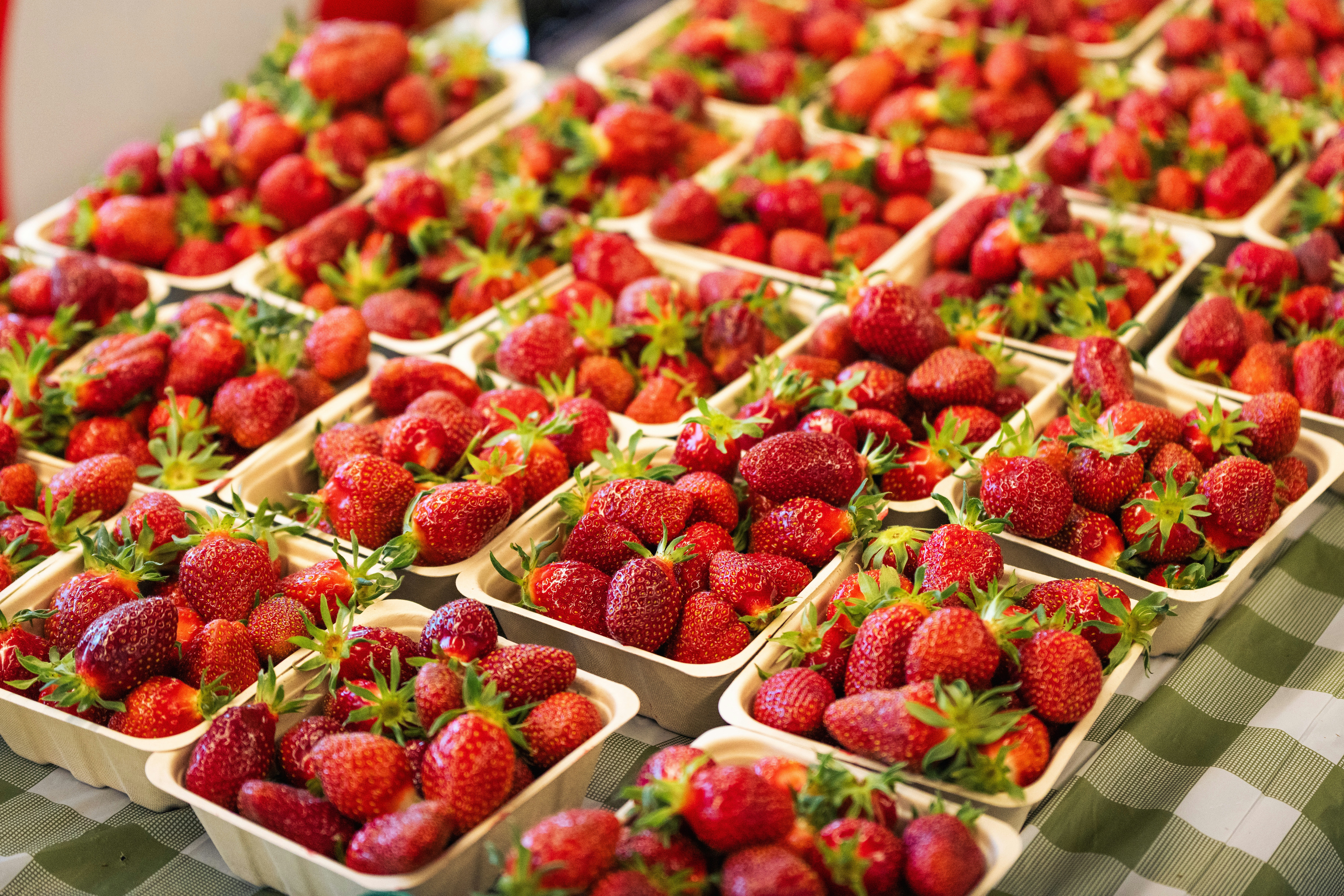 Row of Strawberries in White Trays at a Market Stall
