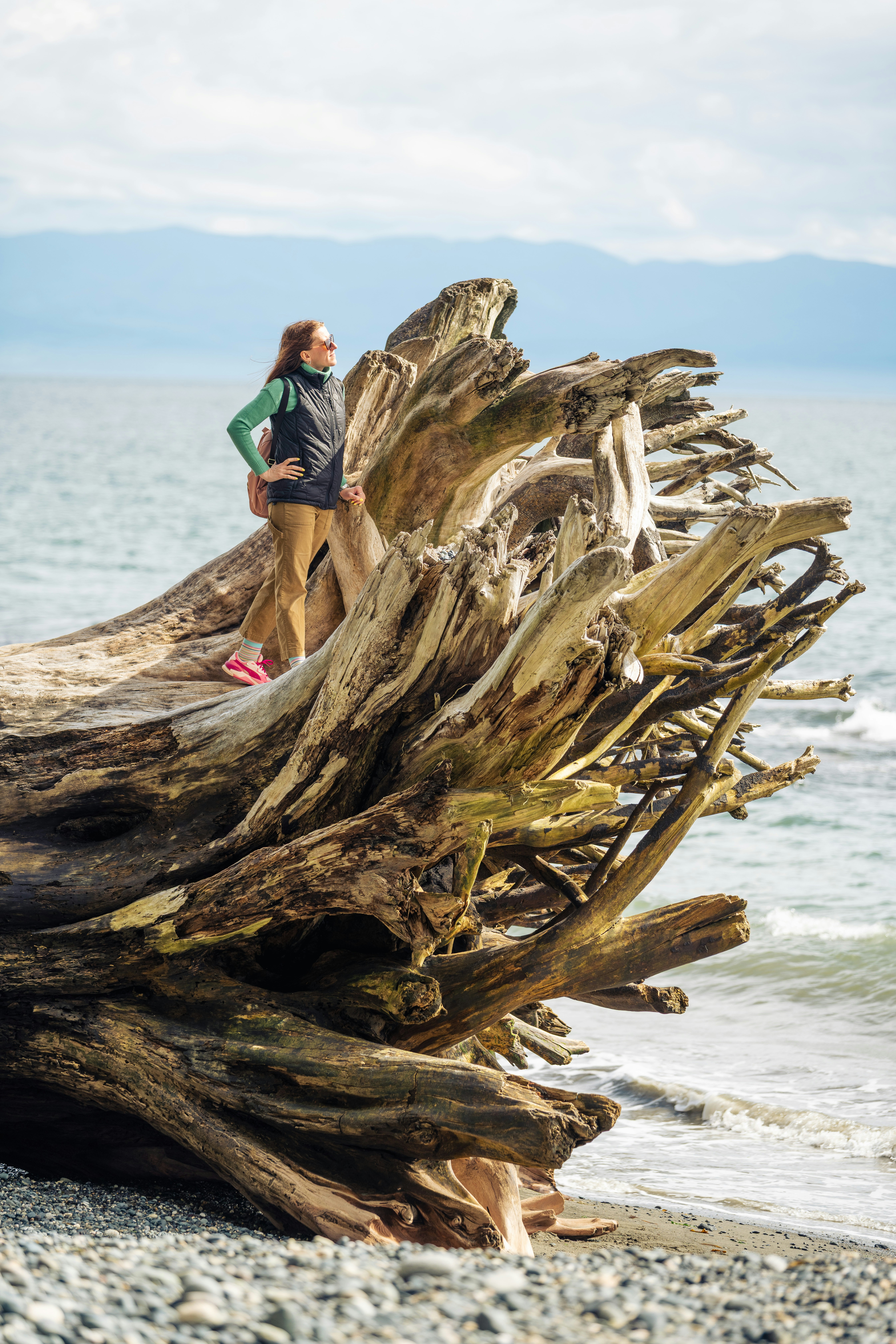 Perched on Driftwood: A Traveler Reigns Over the Tidal Spine