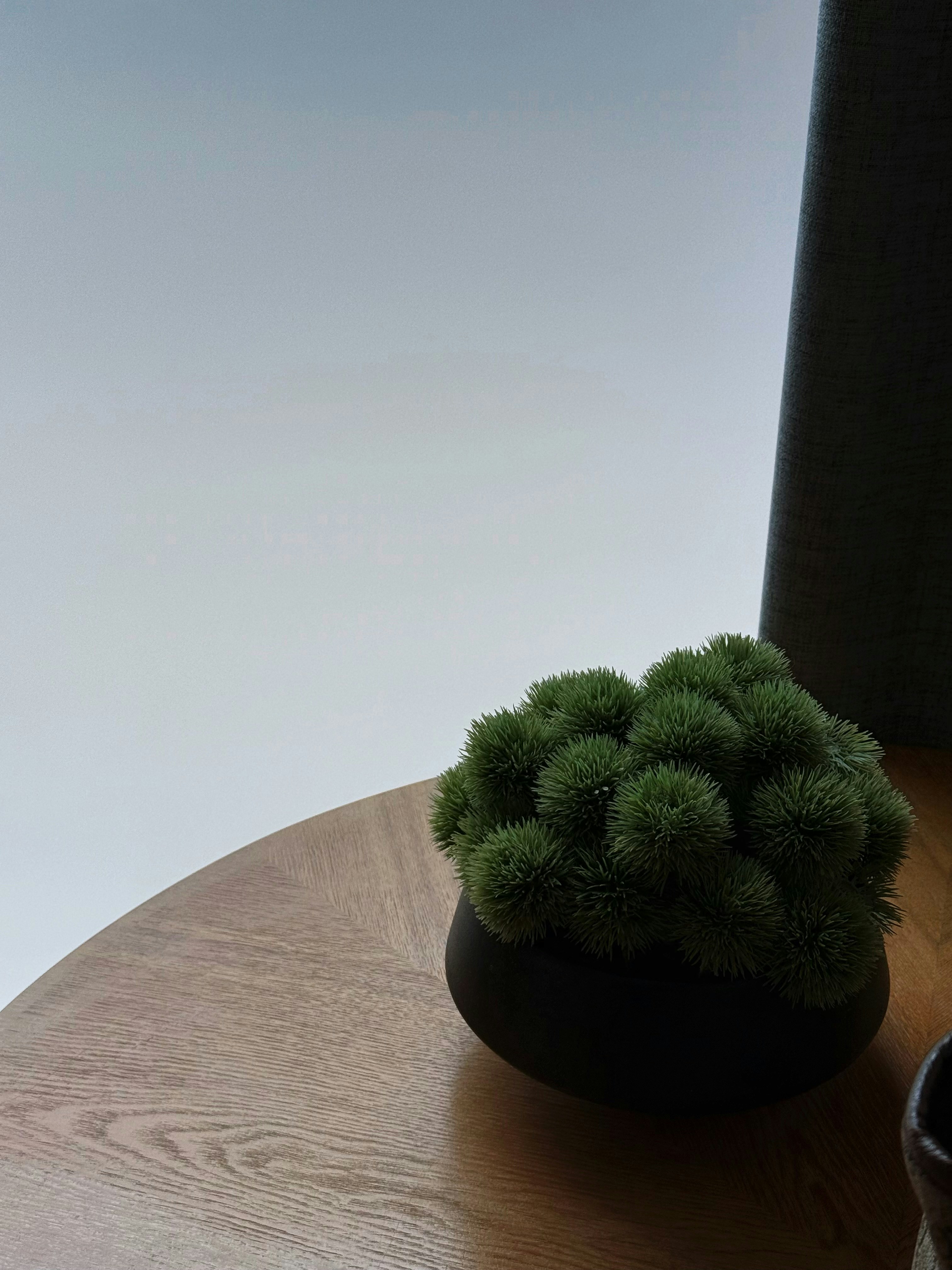 Rounded Greenery on a Wooden Table Under a Dark Edge
