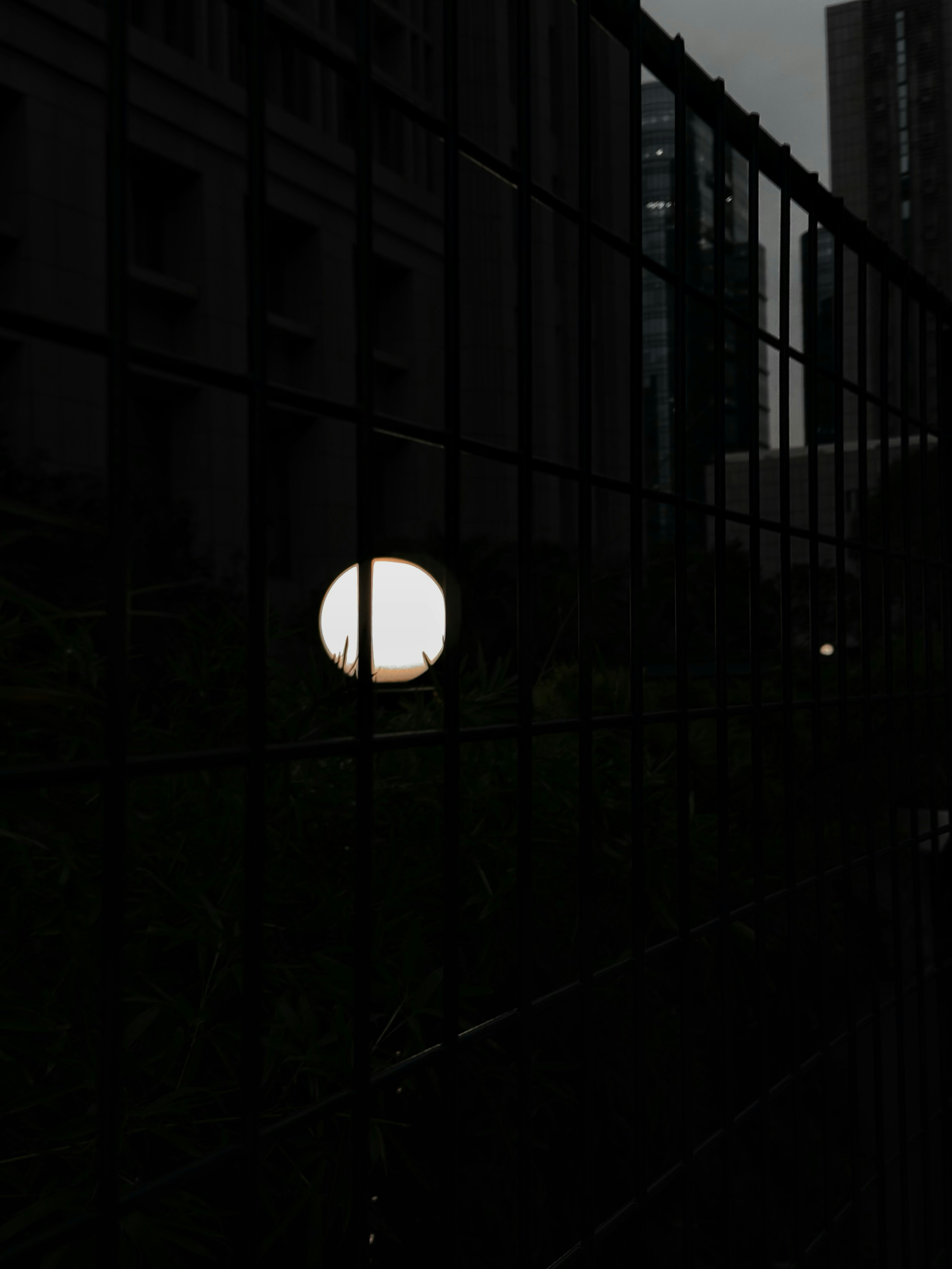Circles of Light: A Glow Through The Fence