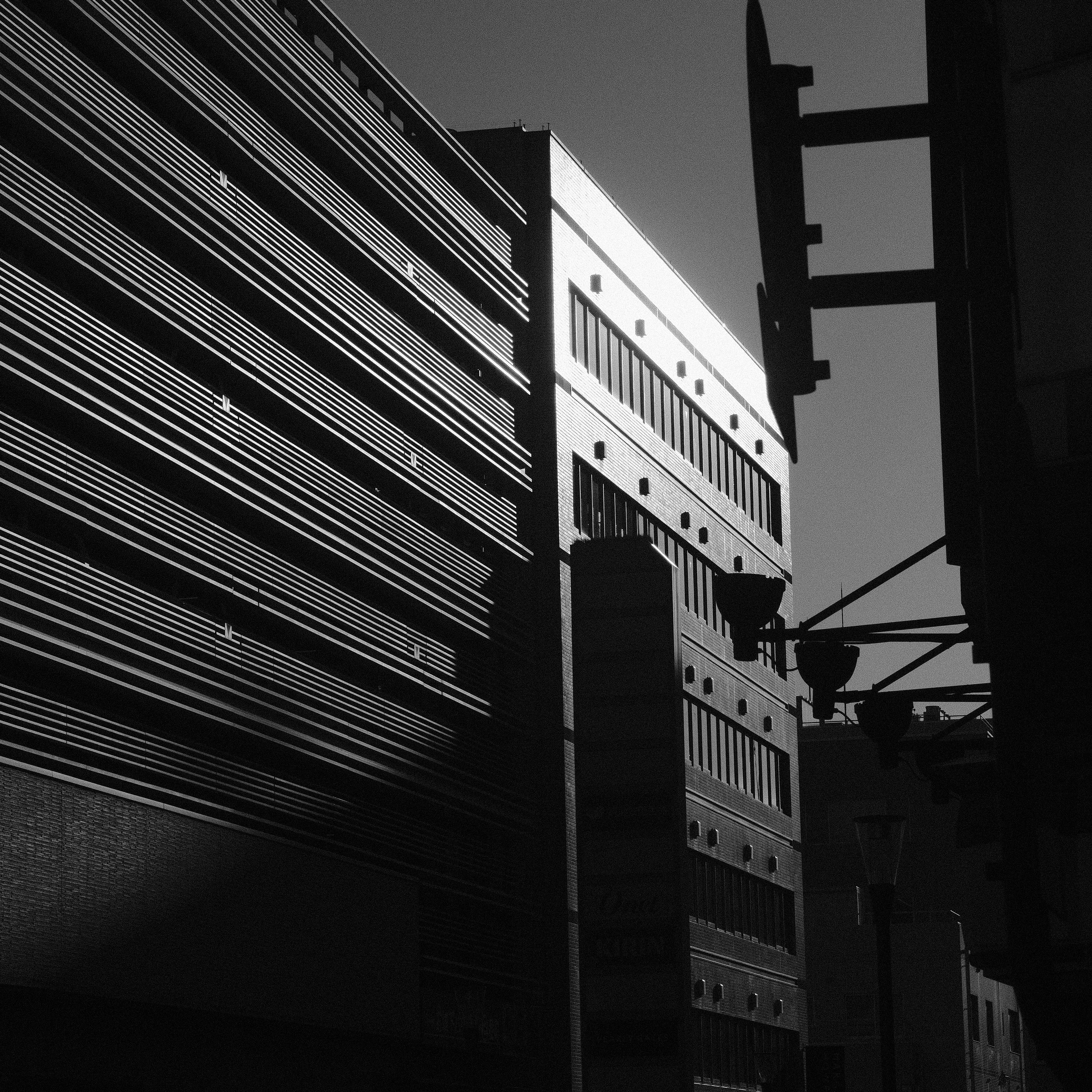 Urban Geometry in High Contrast: A Sunlit Slice Through Modern Facades