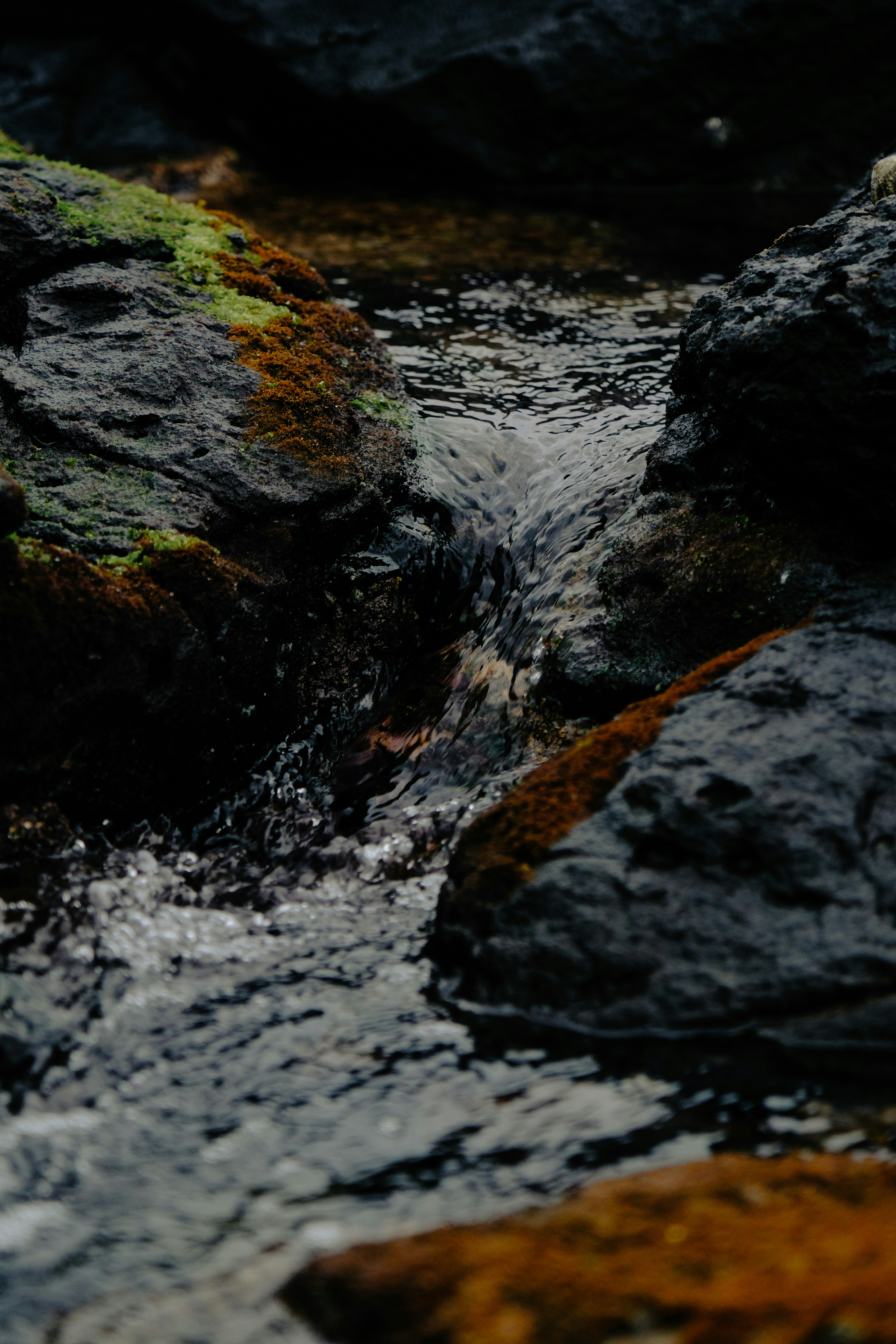Whispers Between Mossy Stones and a Gentle Stream