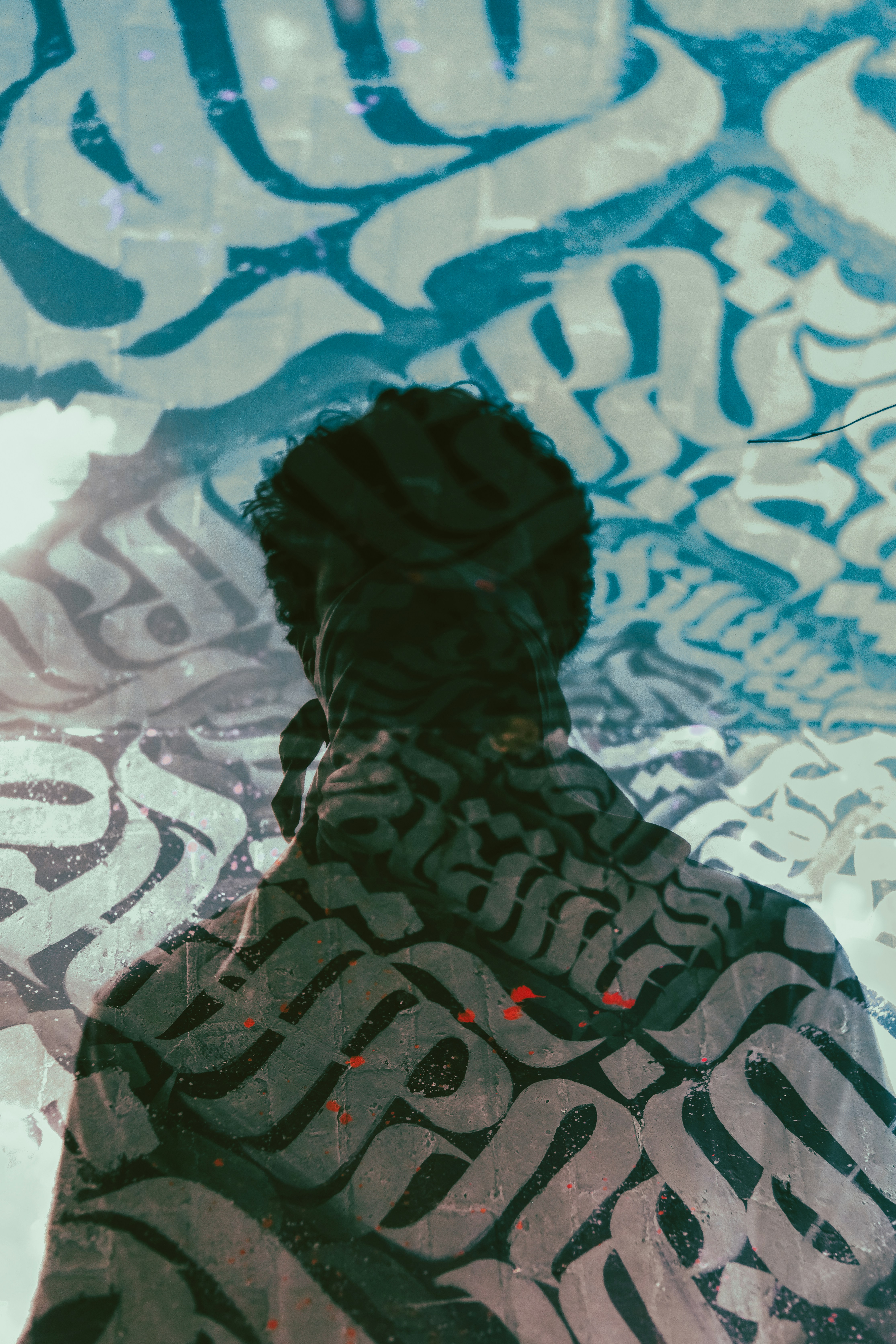 Reflected Silhouette in an Inked Waterworld