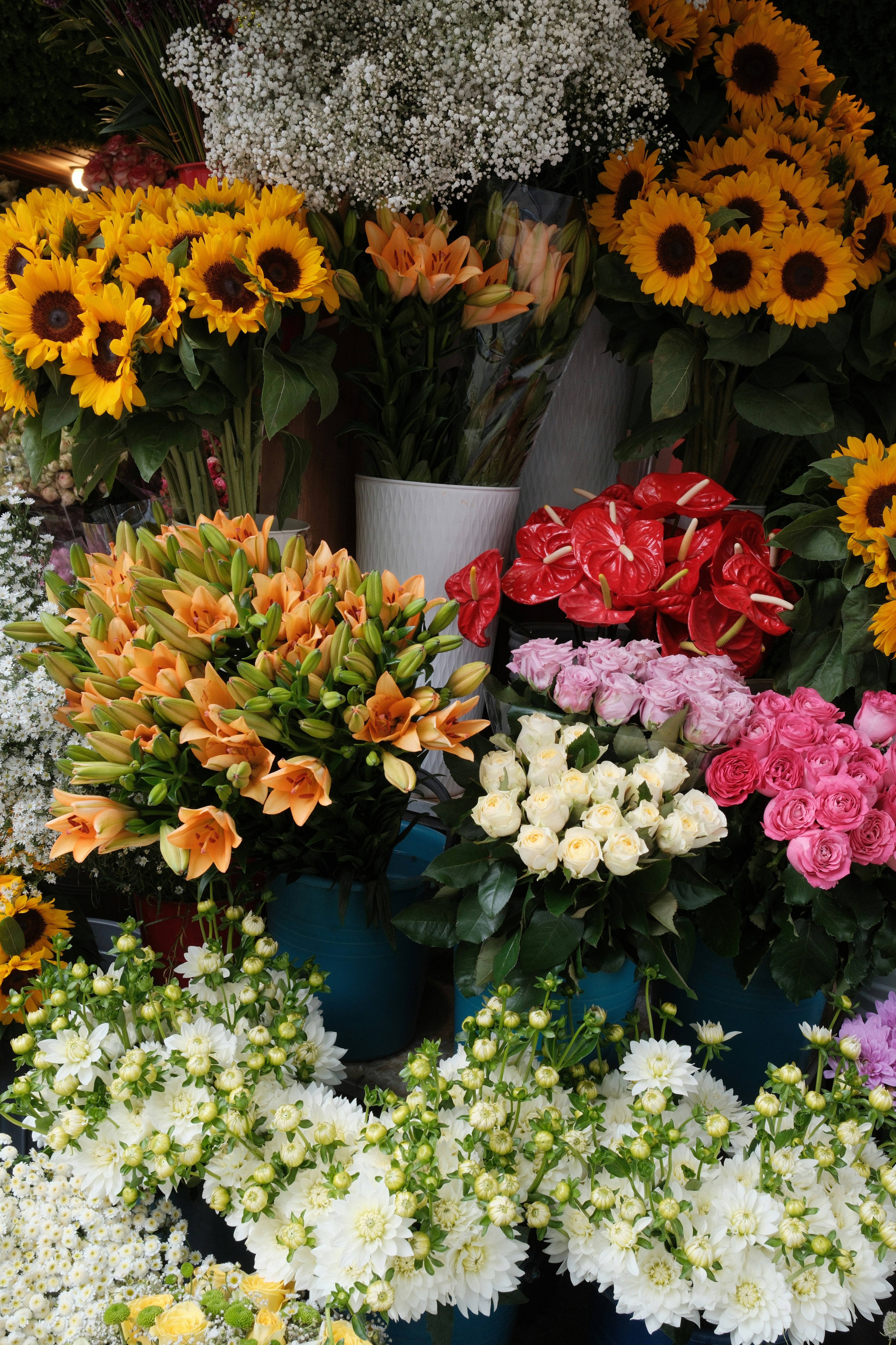 Sunlit Floral Mête: A Burst of Sunflowers and Roses in Rich Color