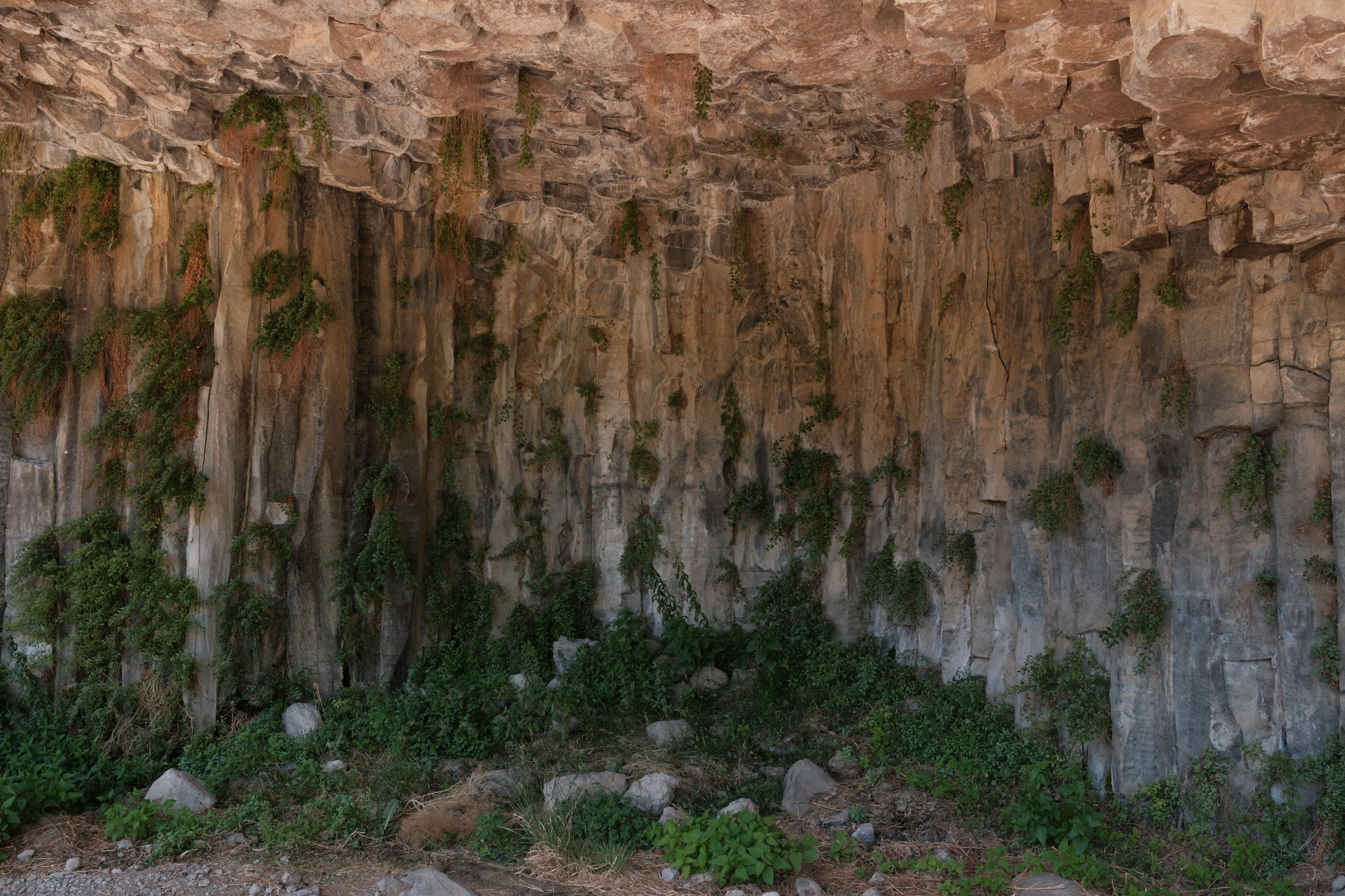 Vertical Basalt Columns Meet Green Underbrush