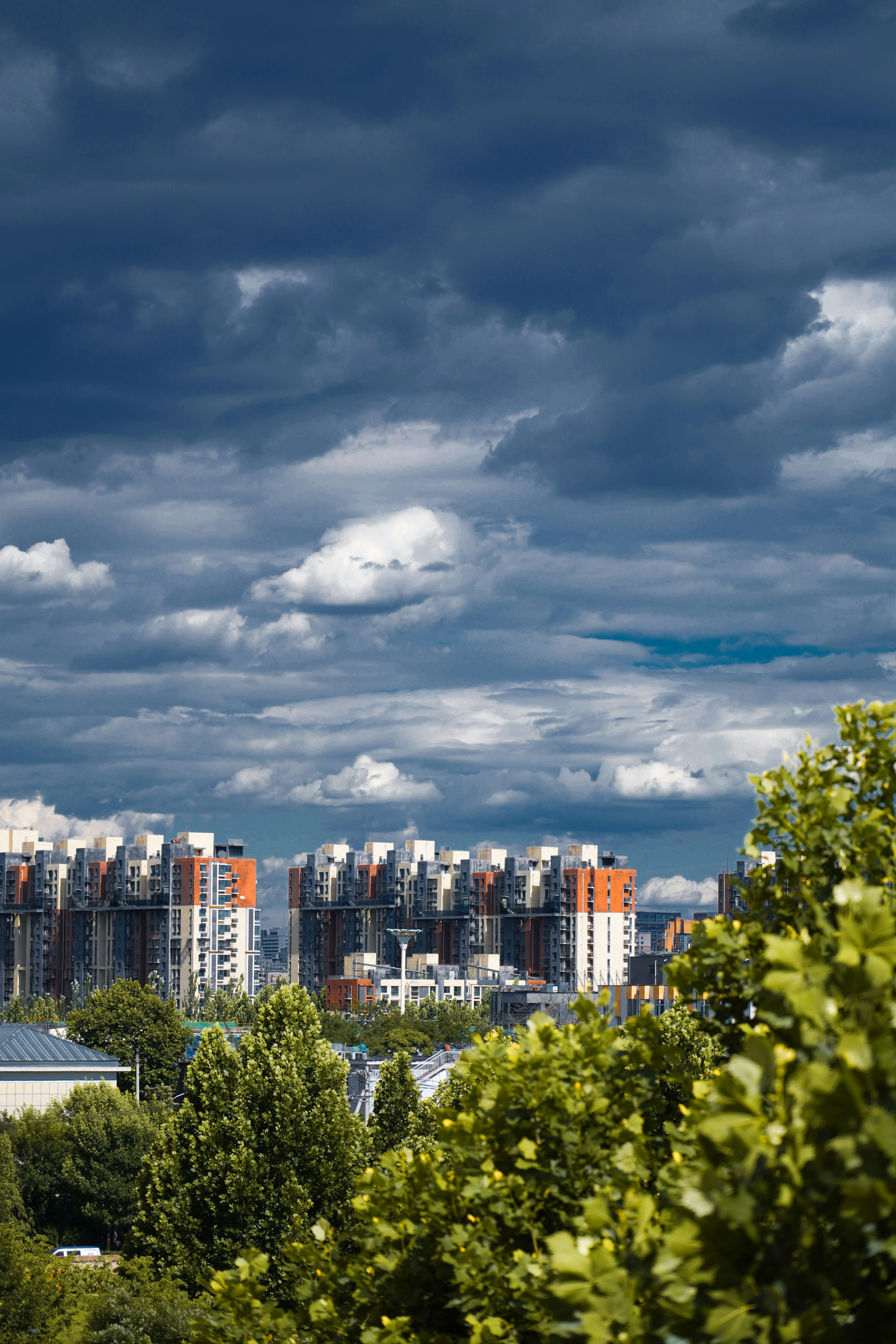 Cloud-veiled skyline over a city framed by green fringe