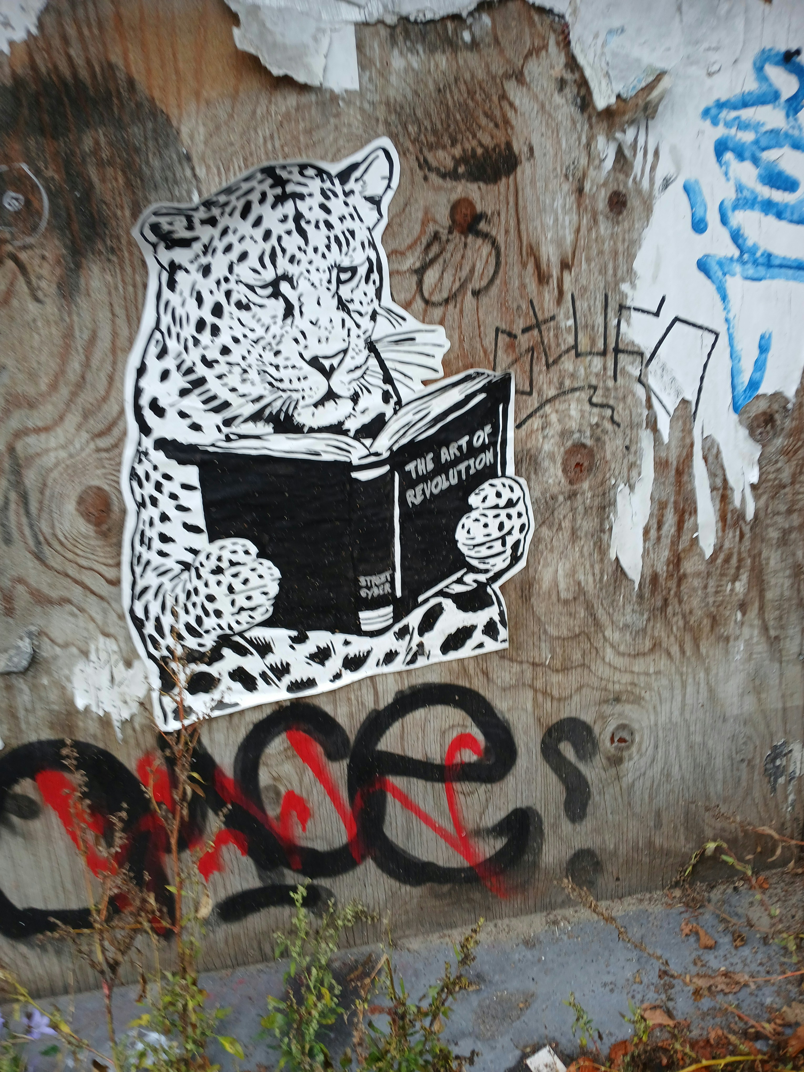 Street photo of glued stencil art on a wooden graffiti wall full of graffiti tags and textures - in Amsterdam city.
