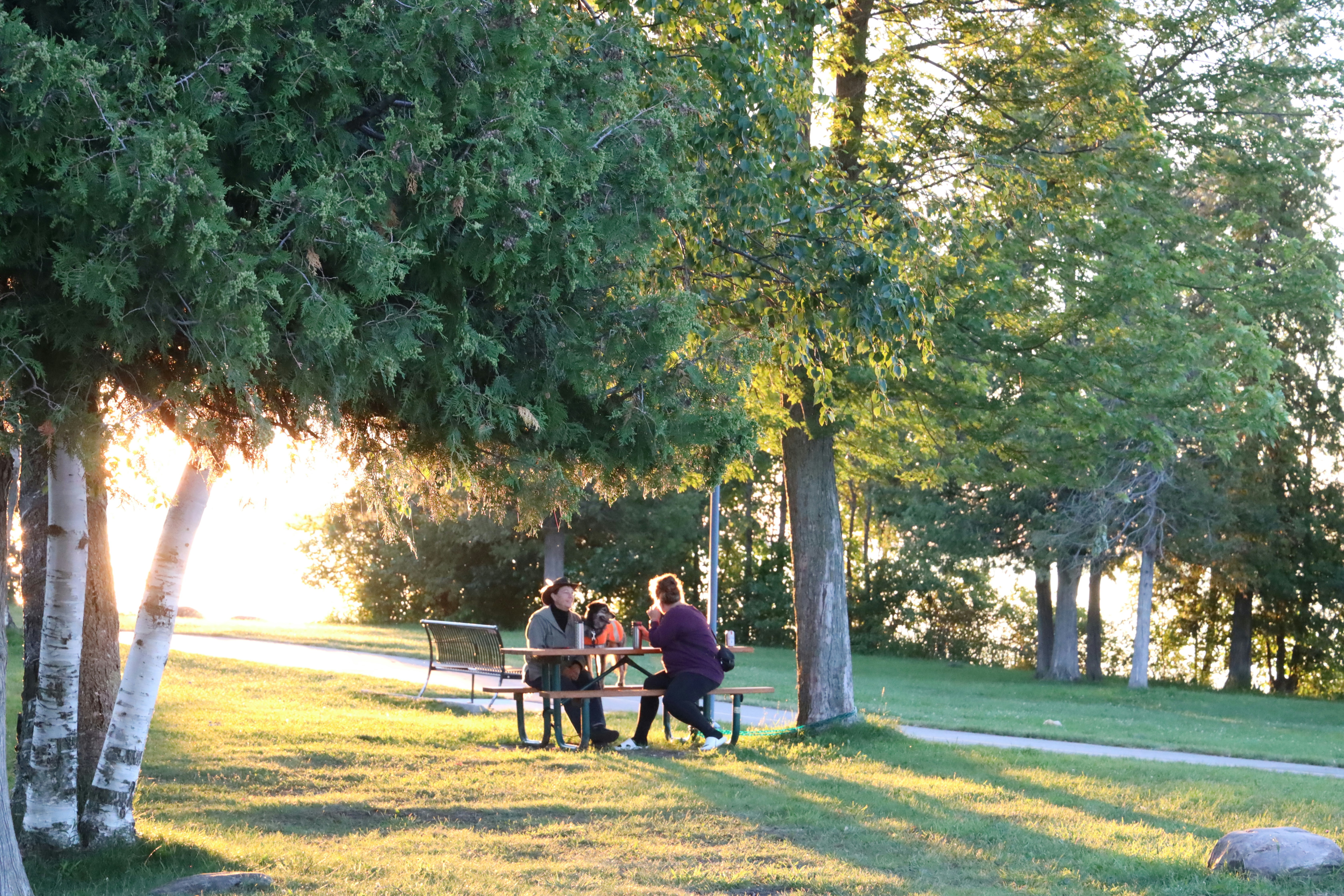 Sunlit Park Conversation by the Bench