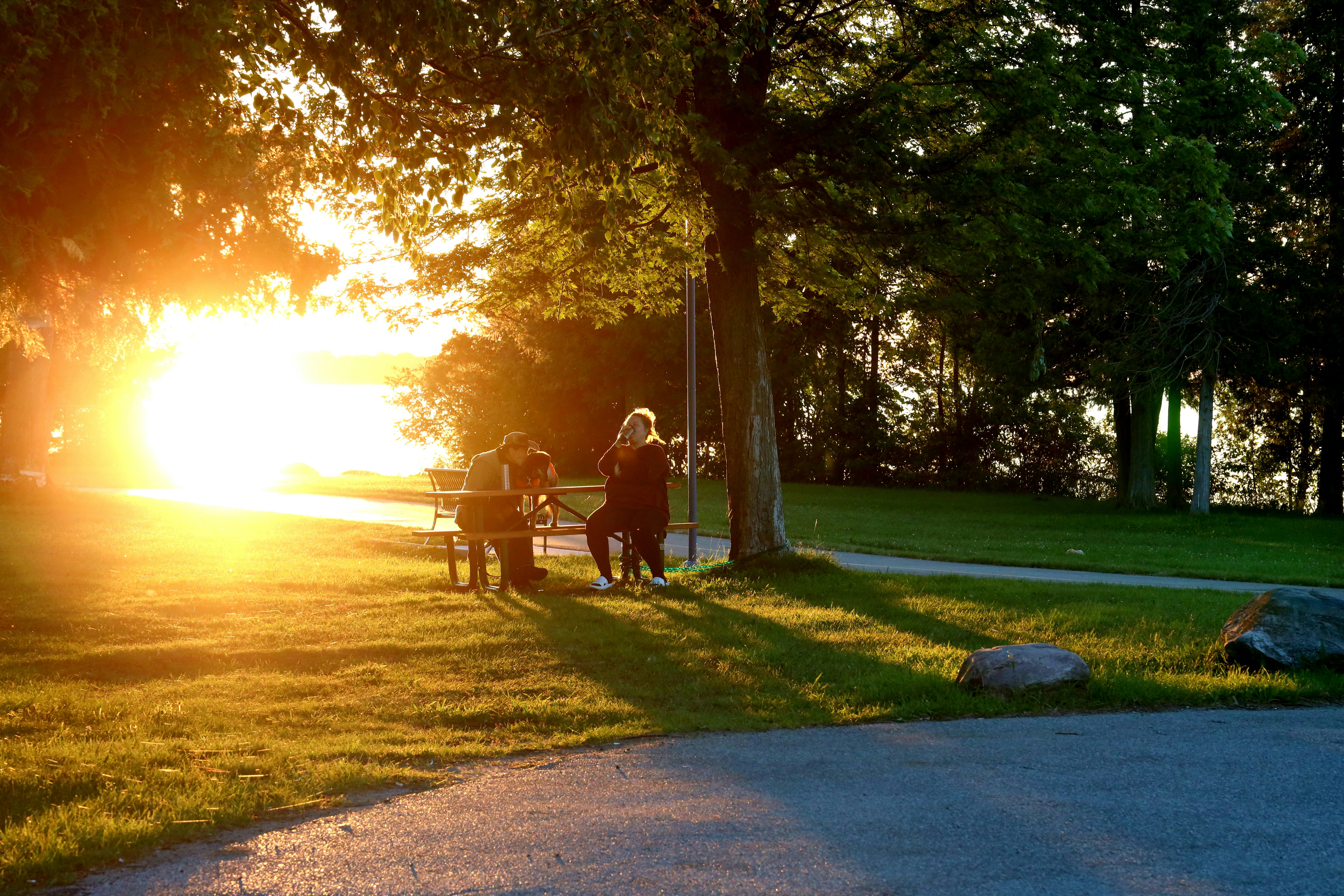 Sunlit Park Tableau: Friends at Dusk