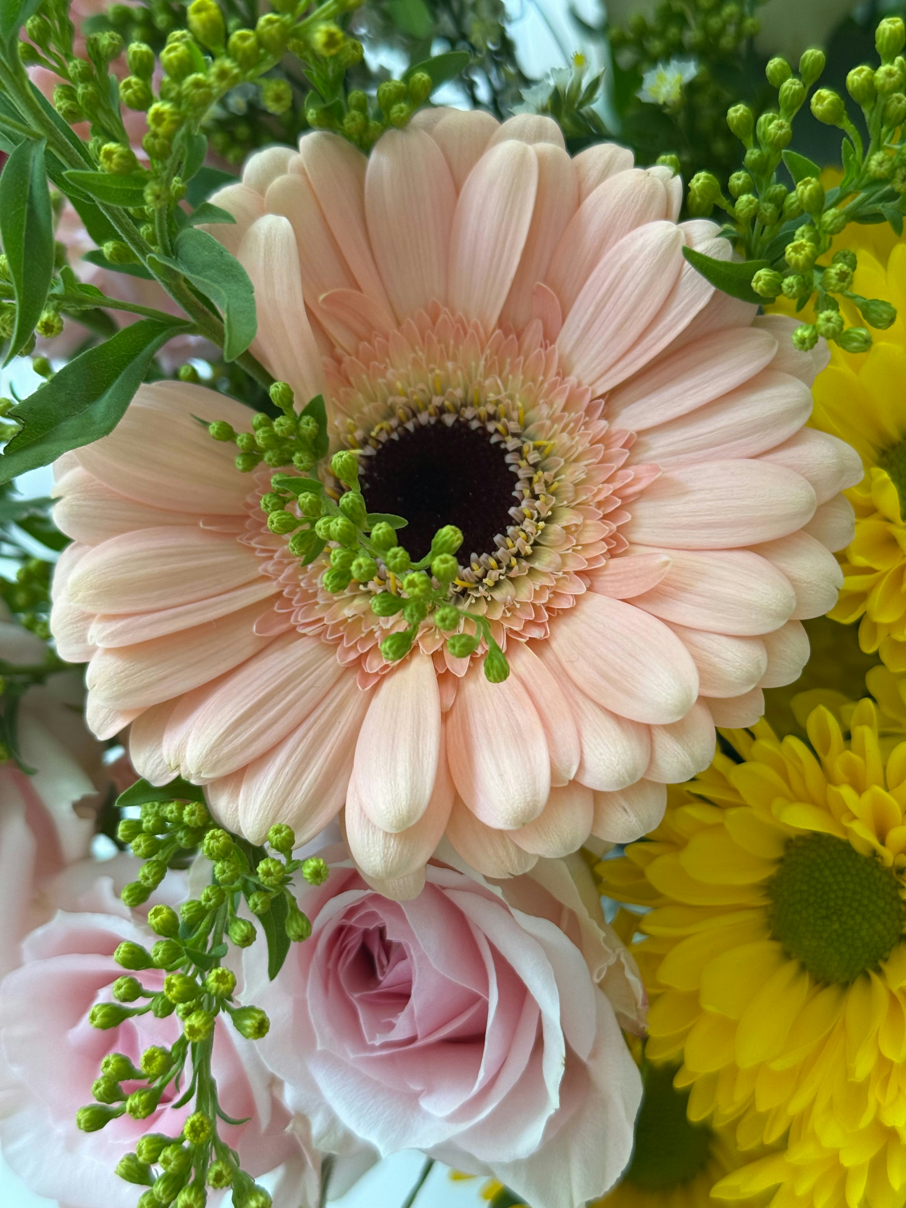 Soft Coral Bloom: A Ribbon of Petals Amid Bright Florals