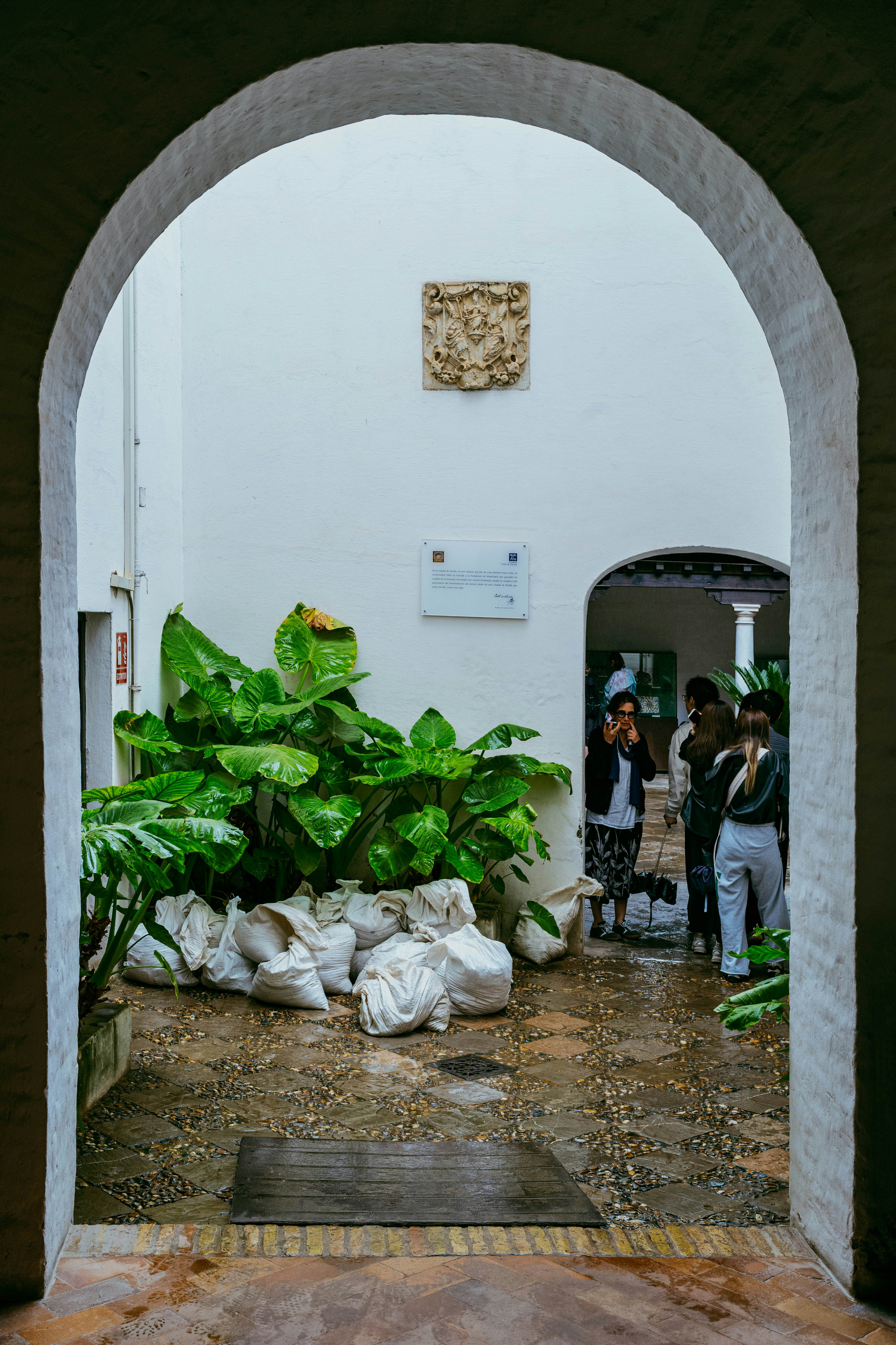 Archway to Curated Quiet: Garden Guests at a Courtyard Entrance