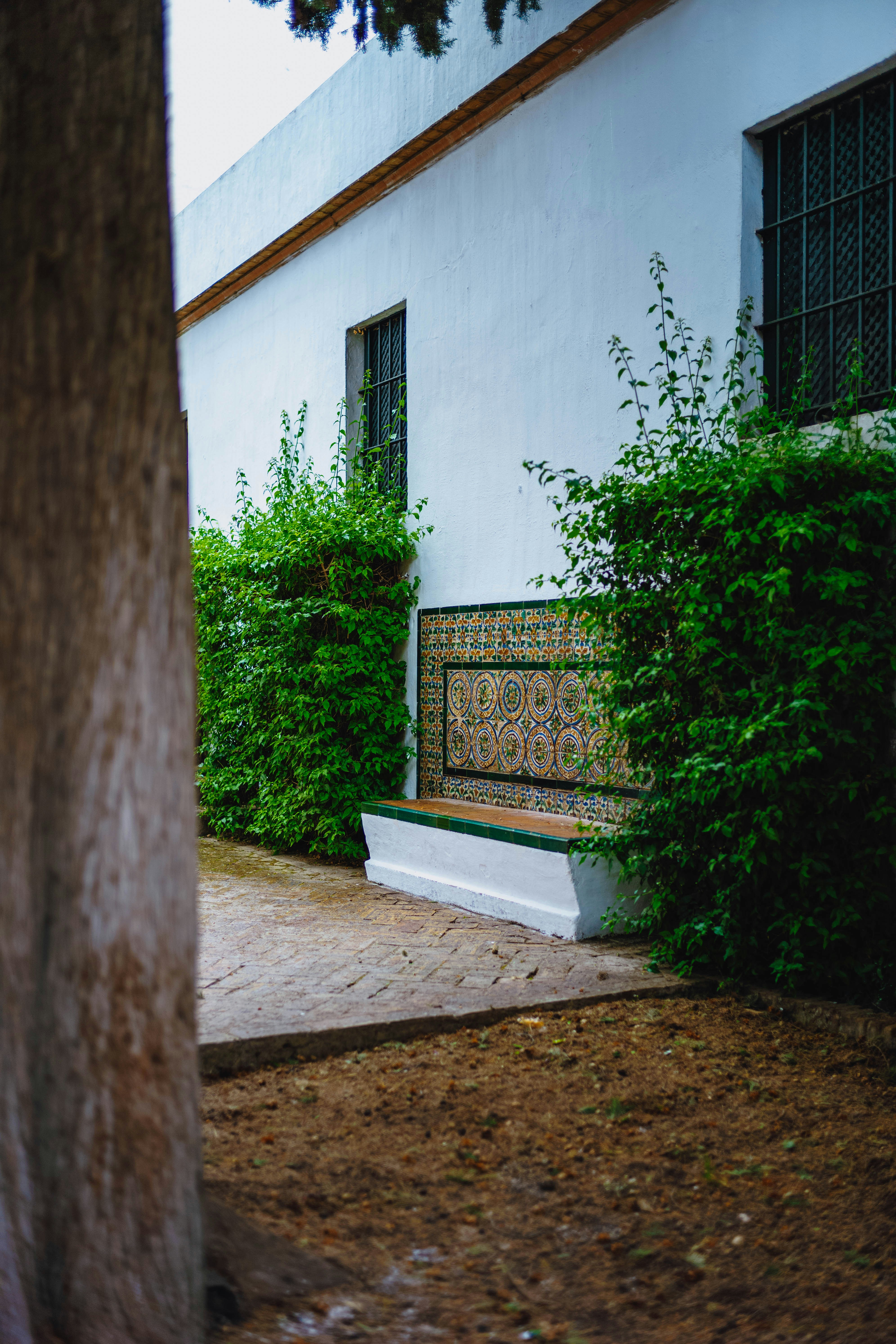 Quiet Courtyard Bench with Woven Tile Backdrop