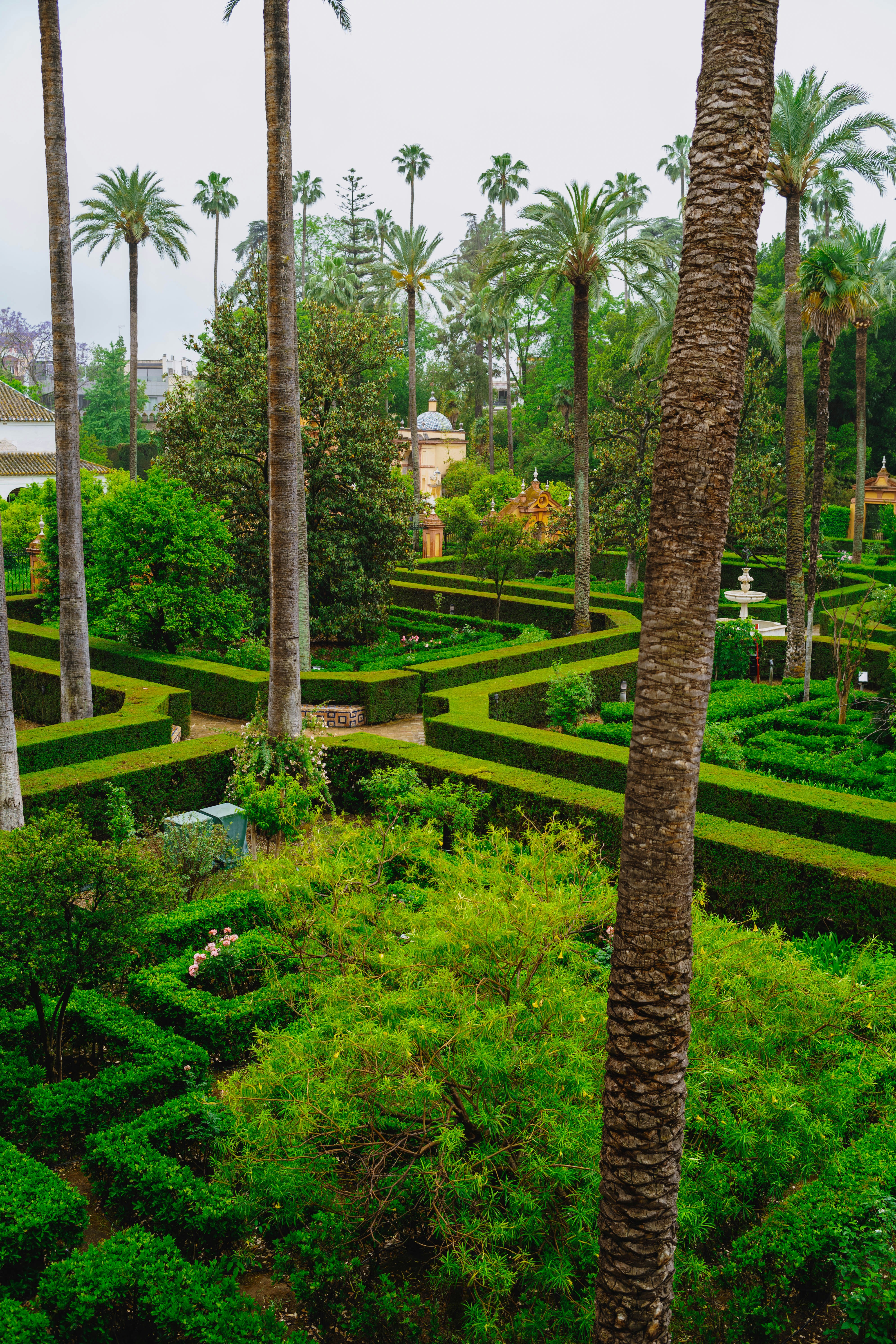 Ornamental Garden Corridor Framed by Tall Trunks