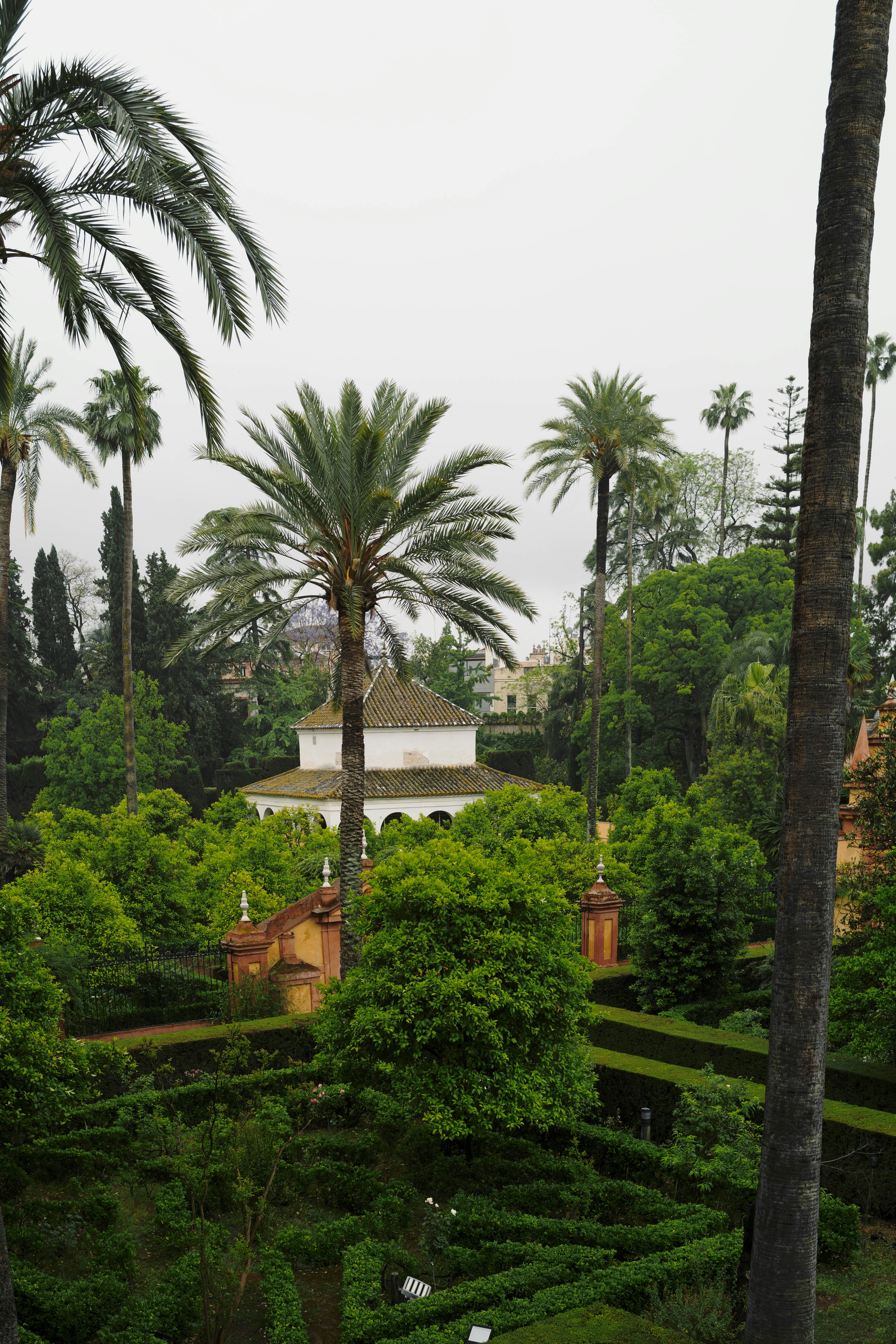 Hidden Pavilion Among Azure-green Foliage